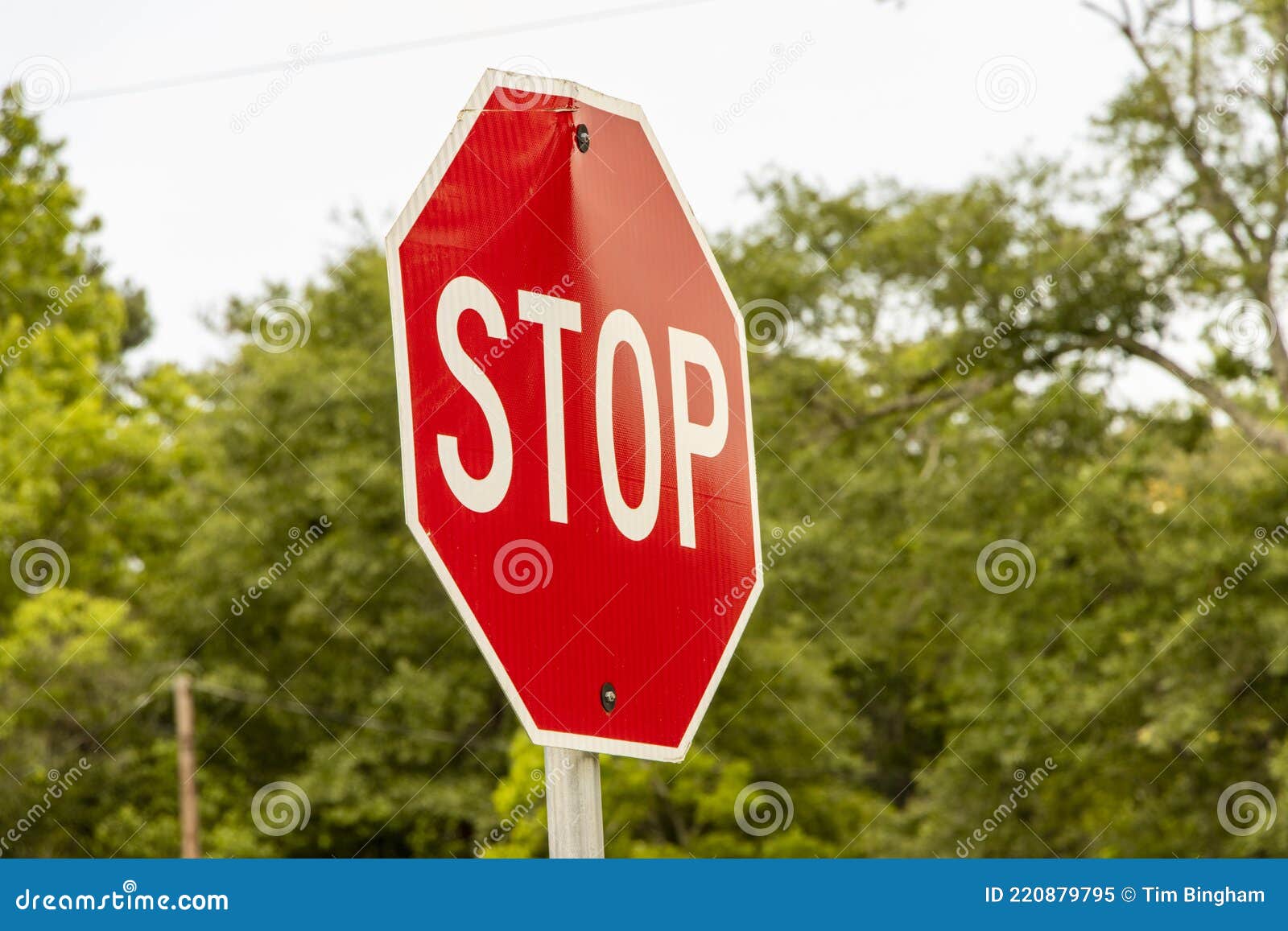 Stop sign from side stock image. Image of sign, leaf - 220879795