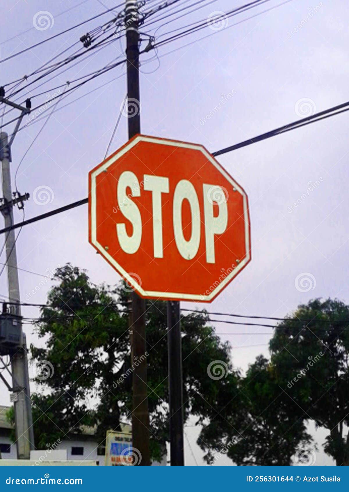 Stop sign stock photo. Image of advertising, tree, lane - 256301644