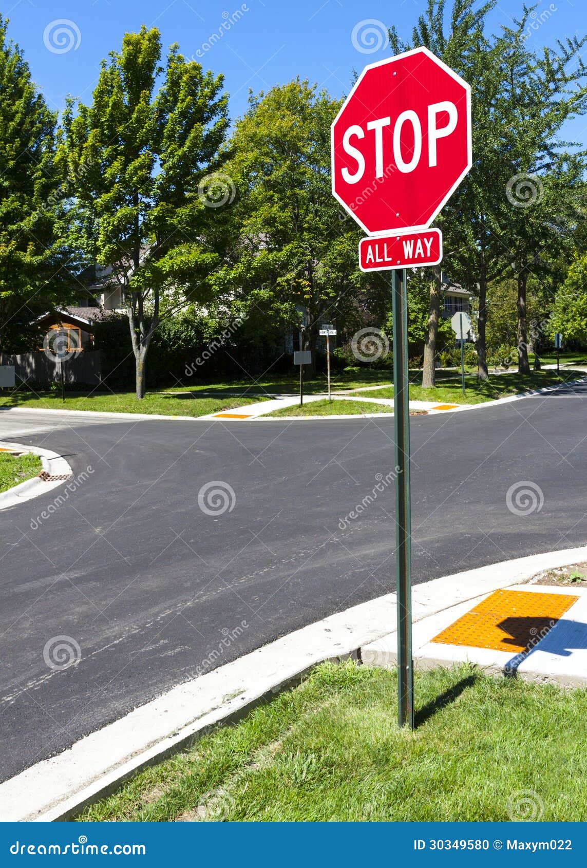 Stop Sign stock photo. Image of tree, traffic, sign, side - 30349580