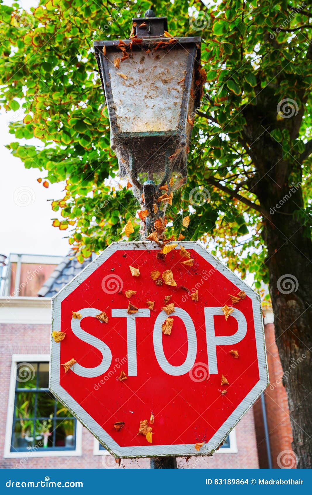 Stop sign with spider webs stock photo. Image of antique - 83189864