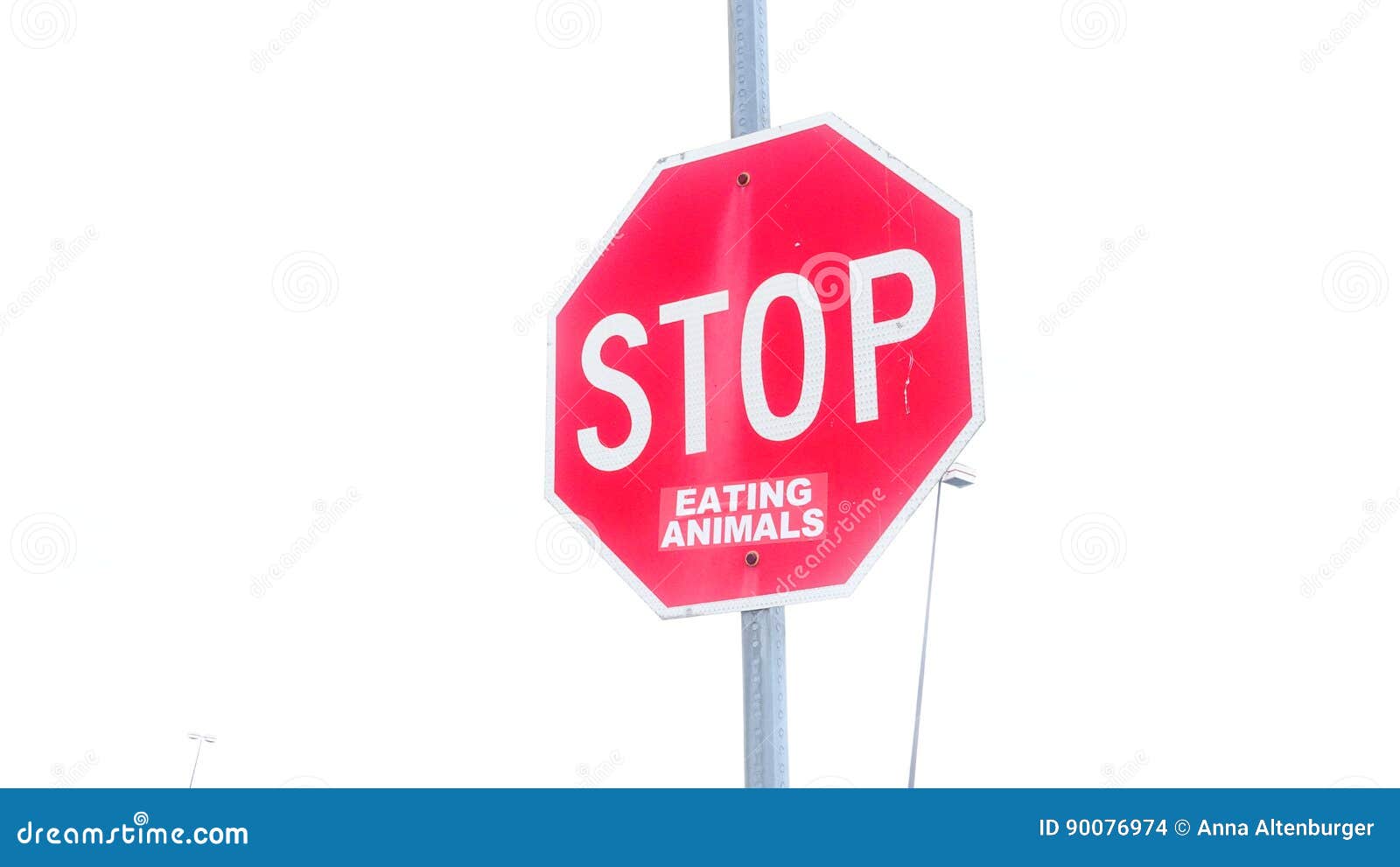 Stop Sign-Stop Eating Animals. Stock Photo - Image of sign, front: 90076974