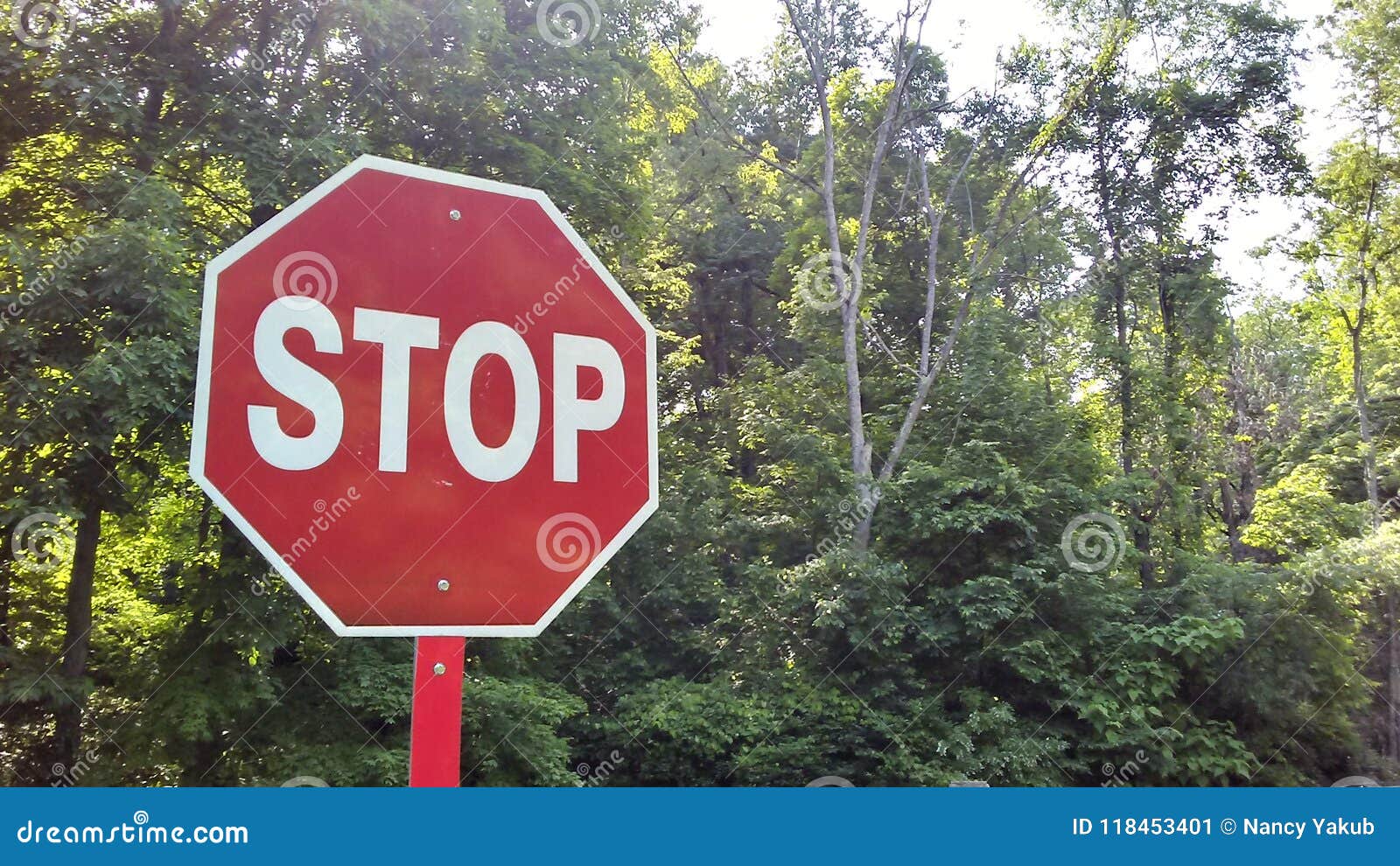 Stop sign stock image. Image of road, finish, sign, quit - 118453401