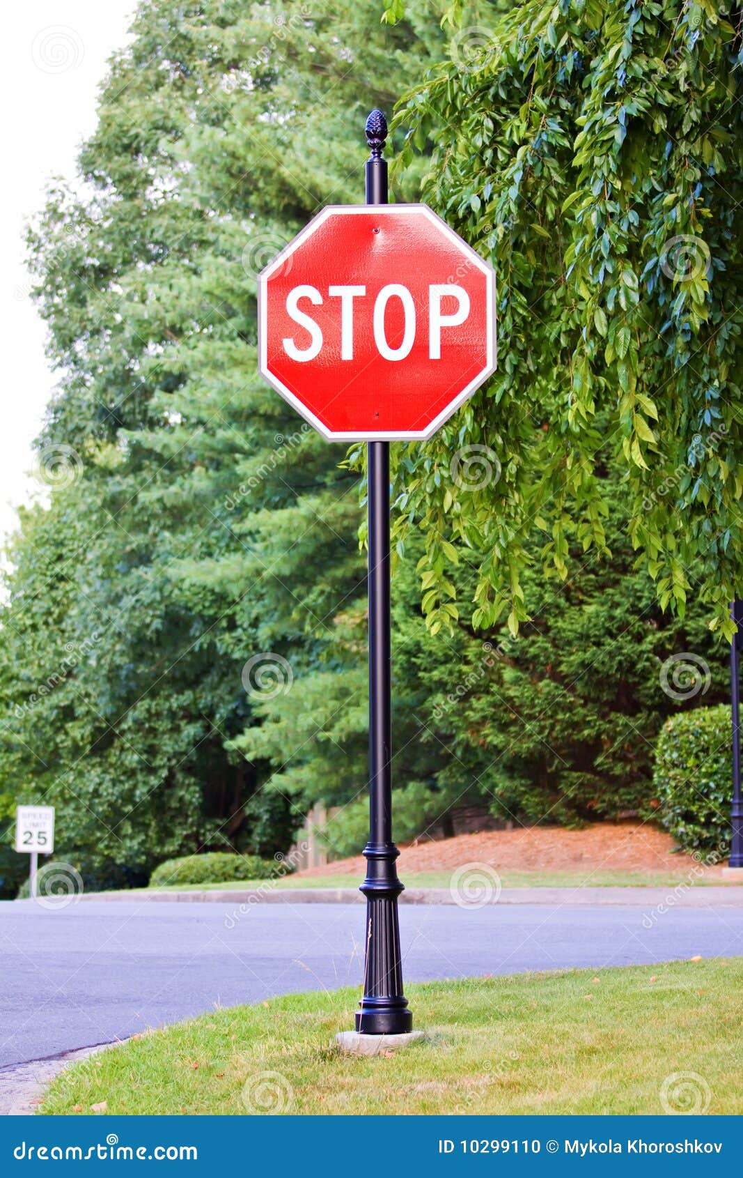 Stop sign on the street stock photo. Image of trees, outside - 10299110