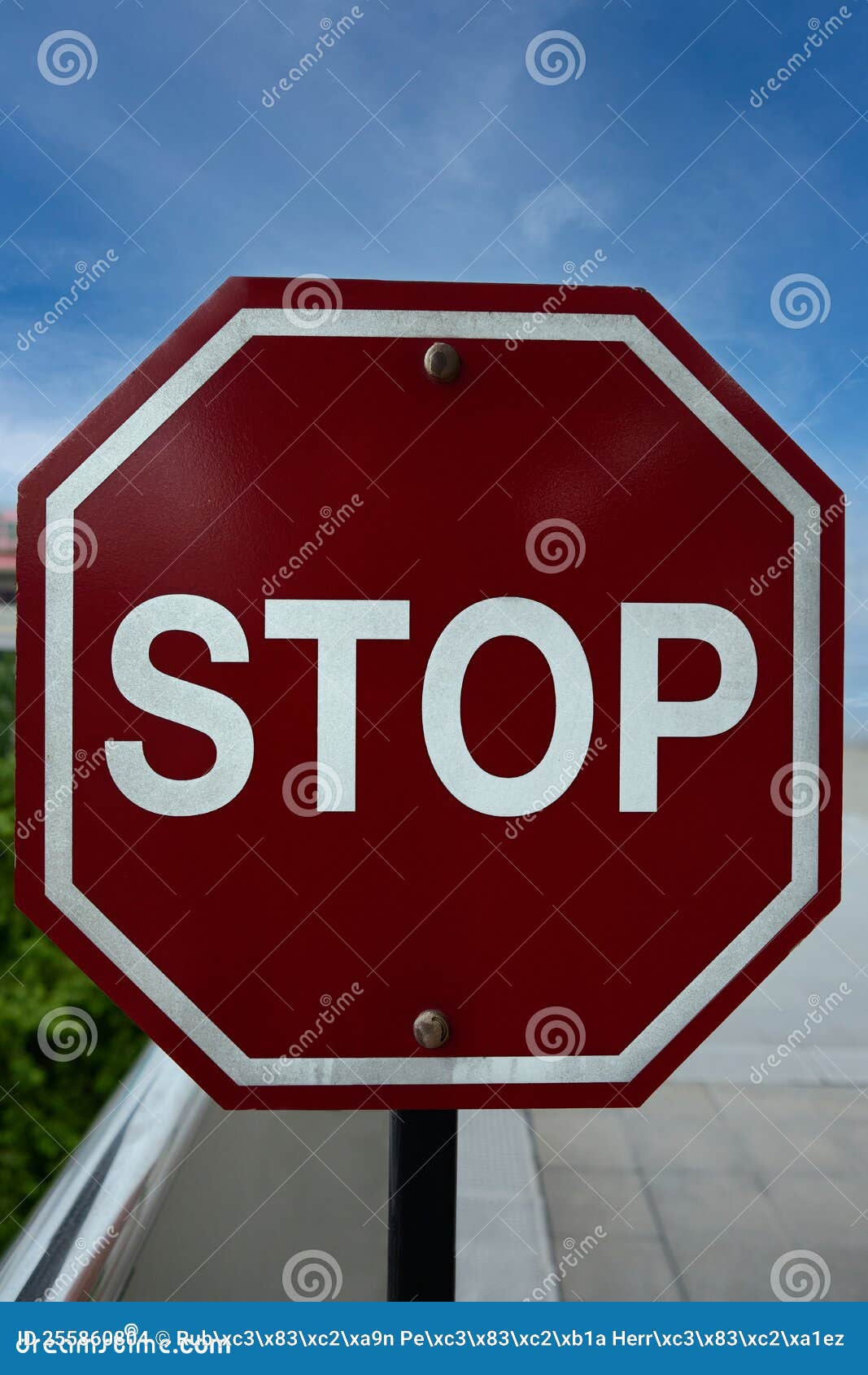 Stop Sign in the Street Blue Sky Background Stock Photo - Image of ...