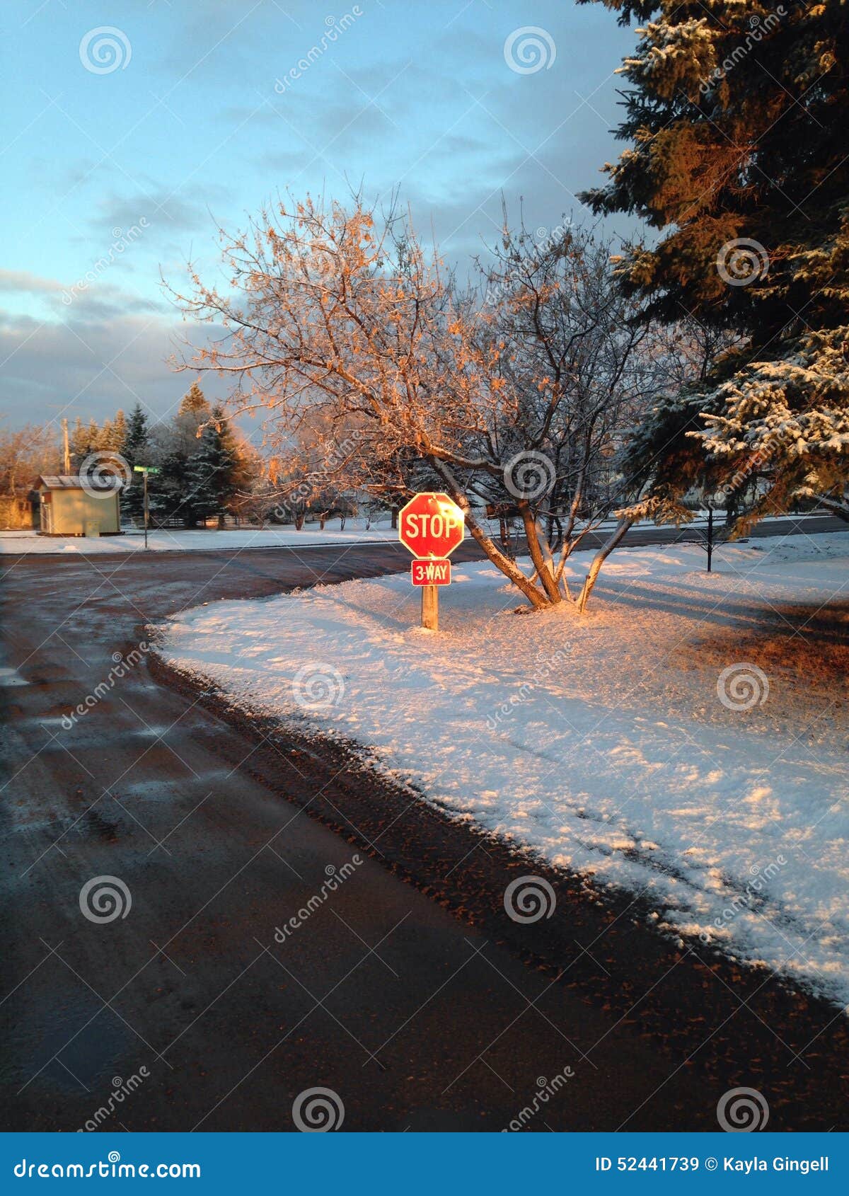 Stop stock image. Image of sign, spring, winter, sunset - 52441739