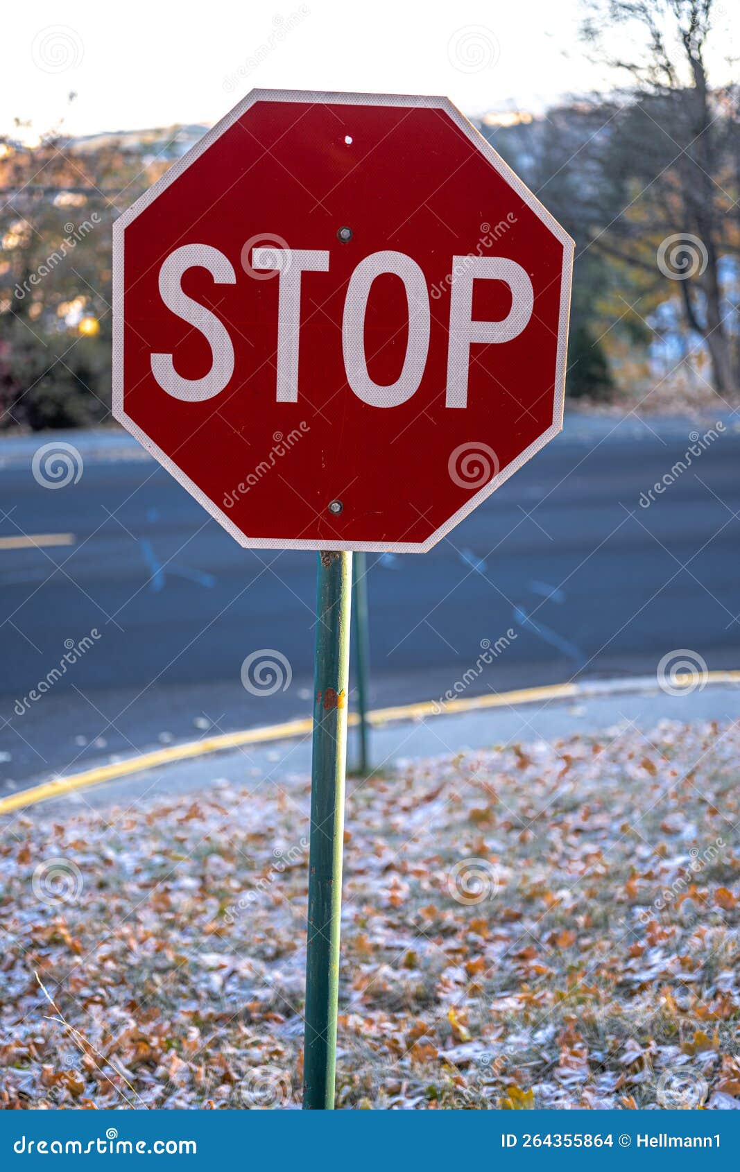 STOP Sign stock photo. Image of information, direction - 264355864