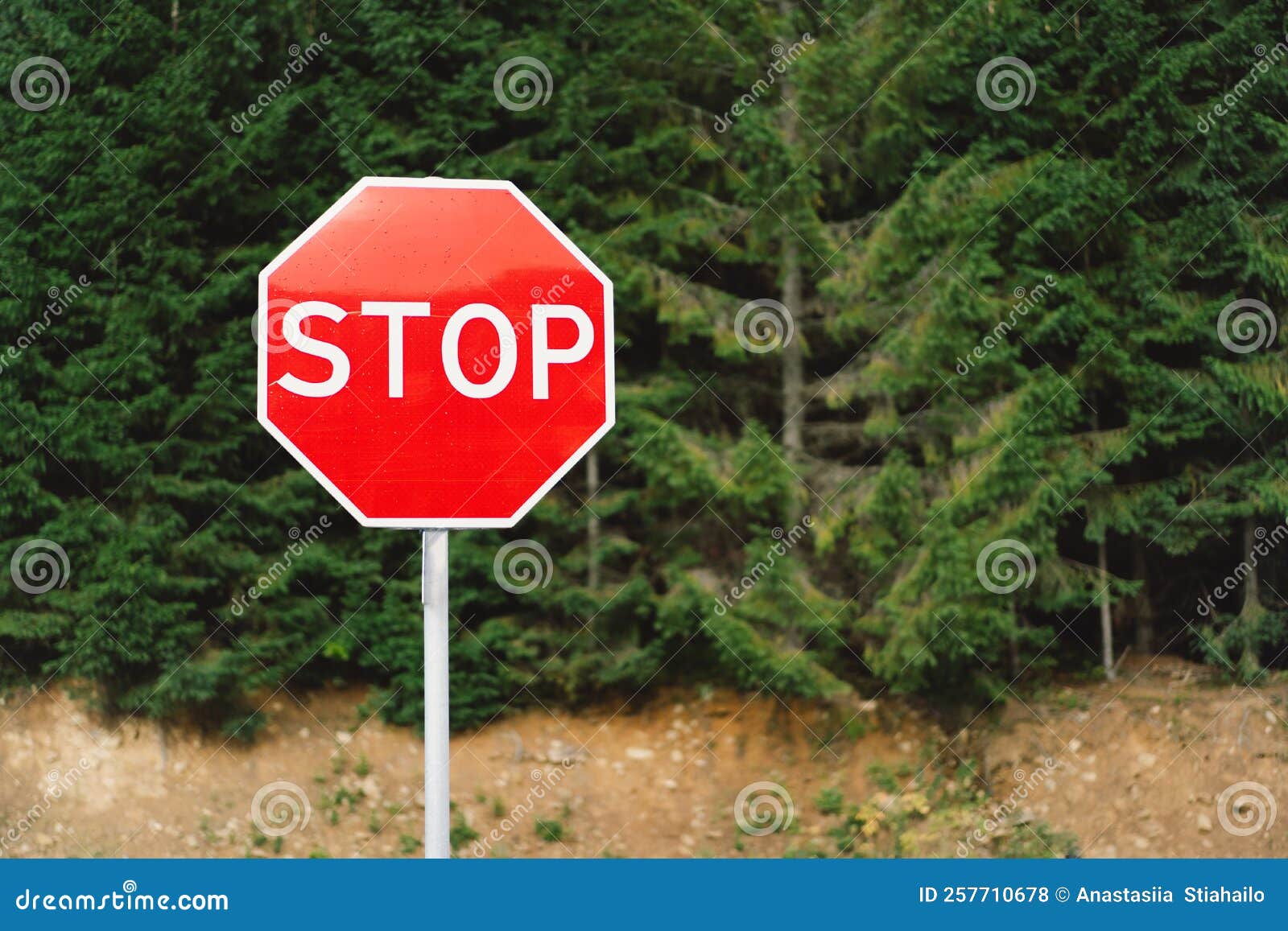 Traffic Sign. STOP Sign on Pole Near the Road Stock Photo - Image of ...