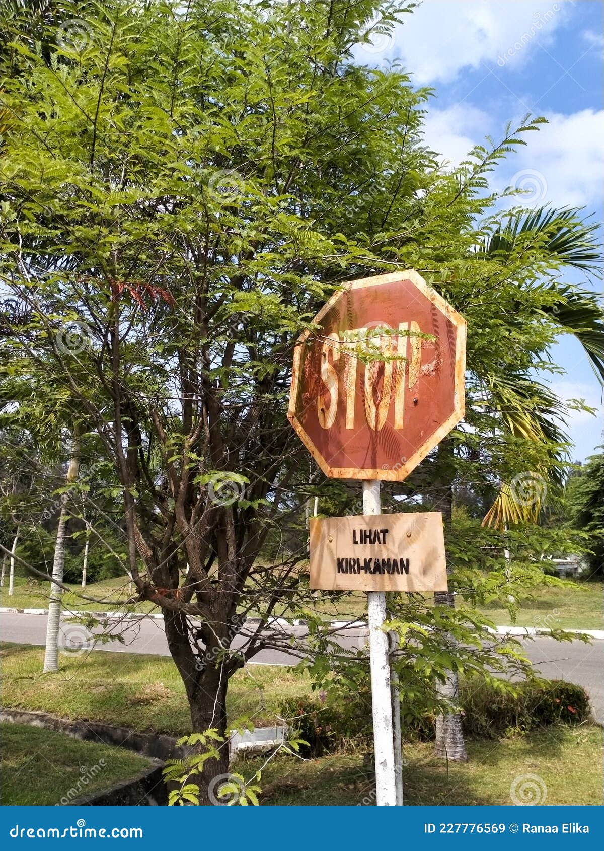 Stop sign and tree stock image. Image of left, right - 227776569