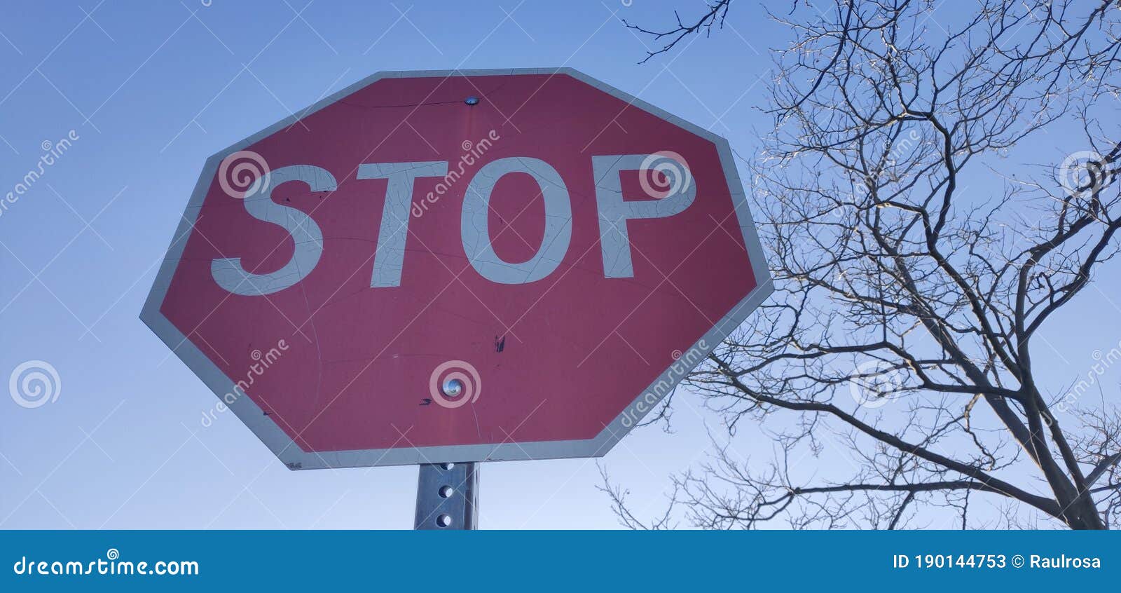 Stop Sign stock image. Image of road, stop, tree, blue - 190144753