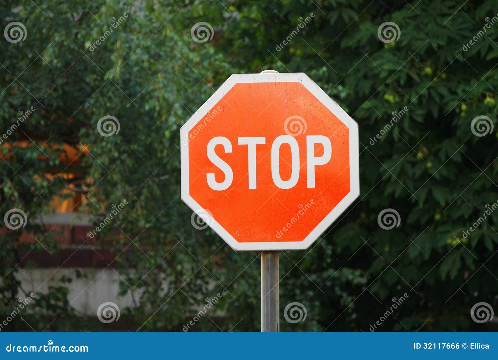 Stop Sign with Trees in Background Stock Photo - Image of street, alert ...