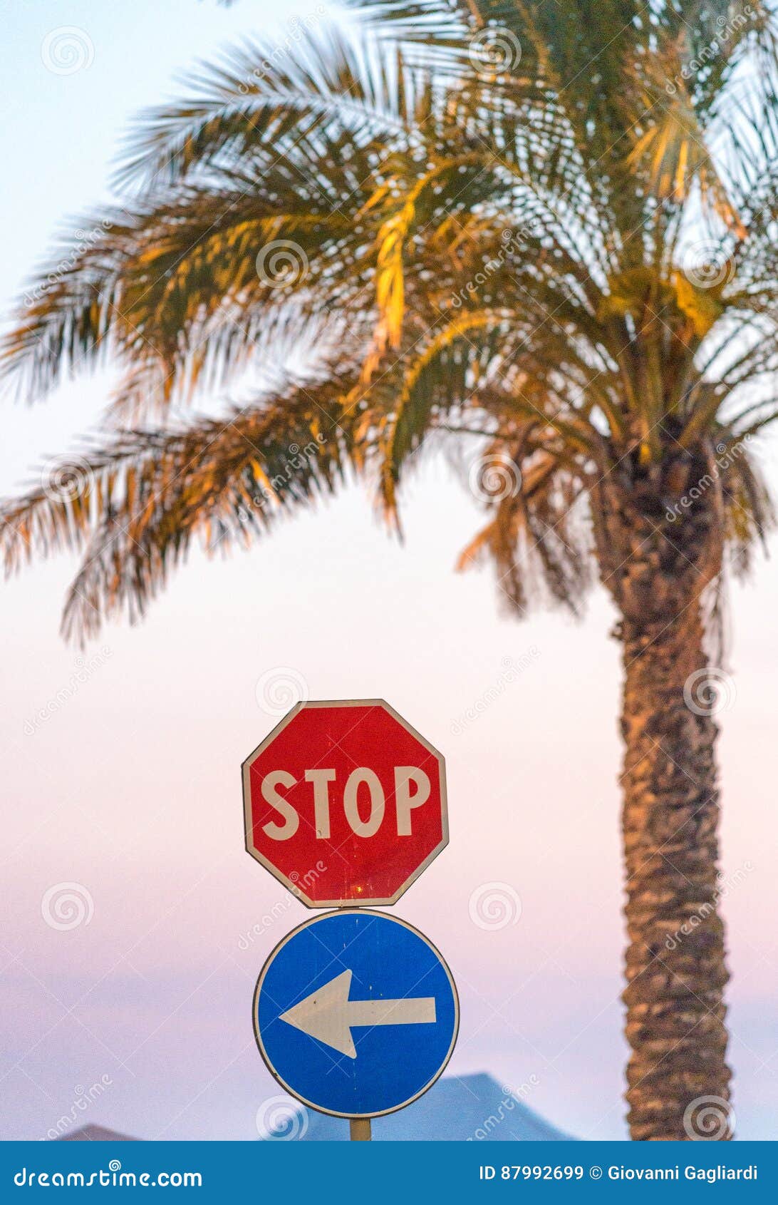 Stop Sign on a Tropical Beach Stock Image - Image of city, sunset: 87992699