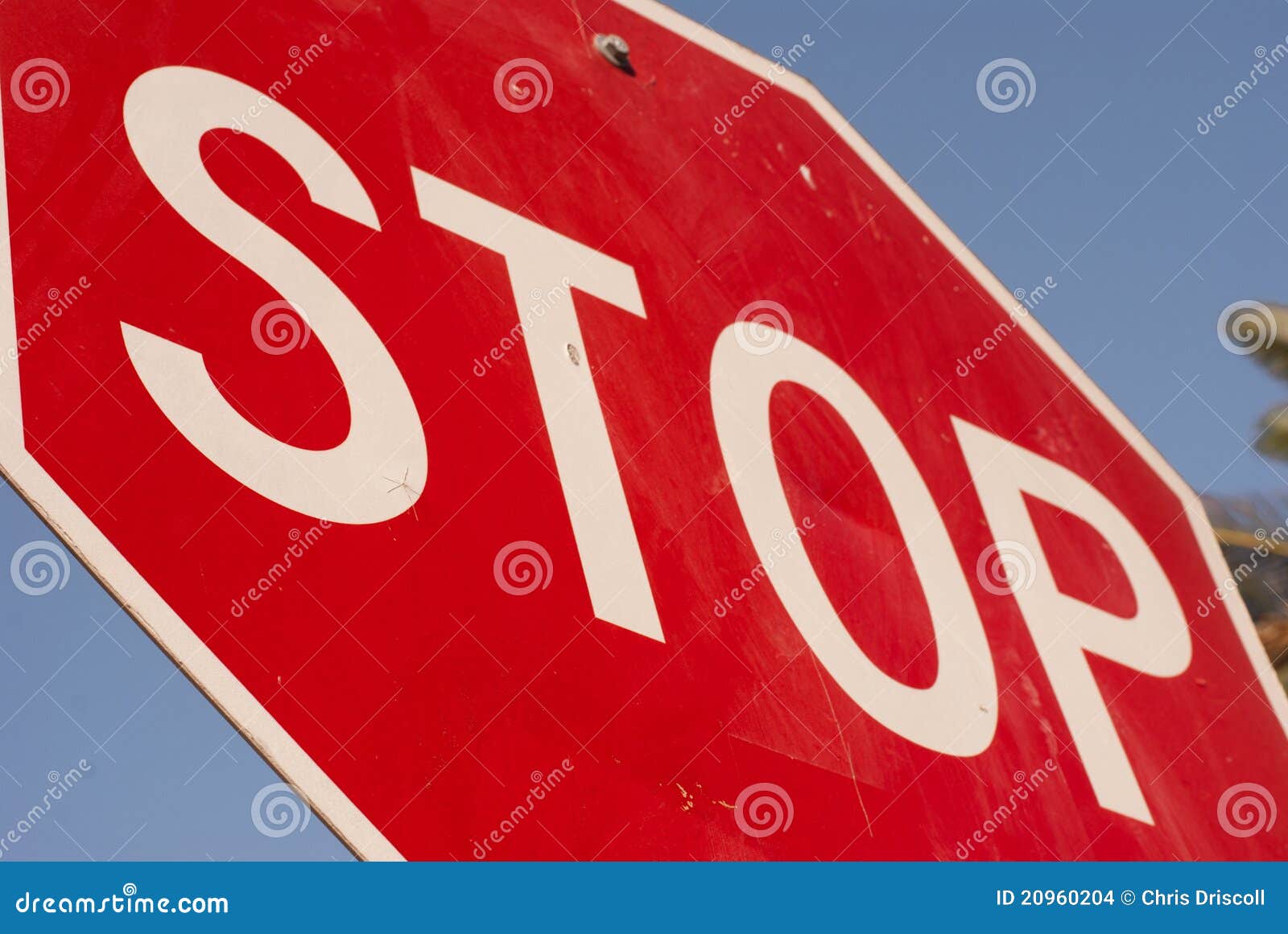 Stop Sign from Unique Perspective. Stock Photo - Image of communicate ...