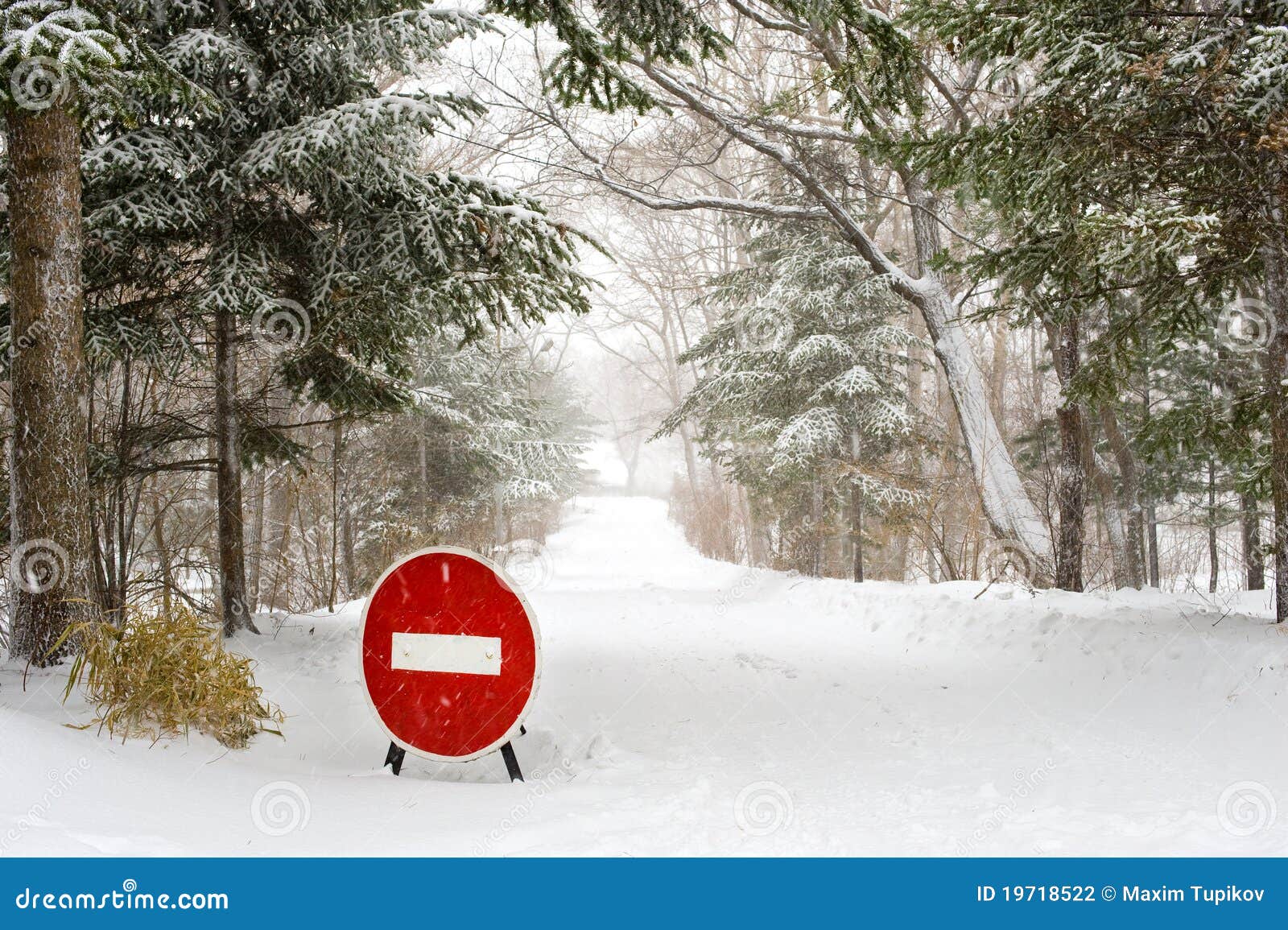 Stop Sign on Winter Forest Road Stock Photo - Image of circle, break ...