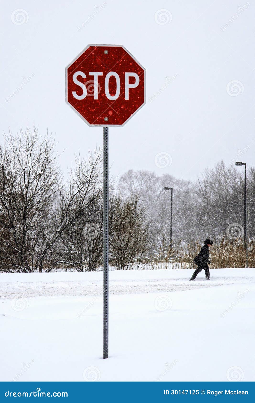 Snowstorm traffic sign stock image. Image of transportation - 30147125