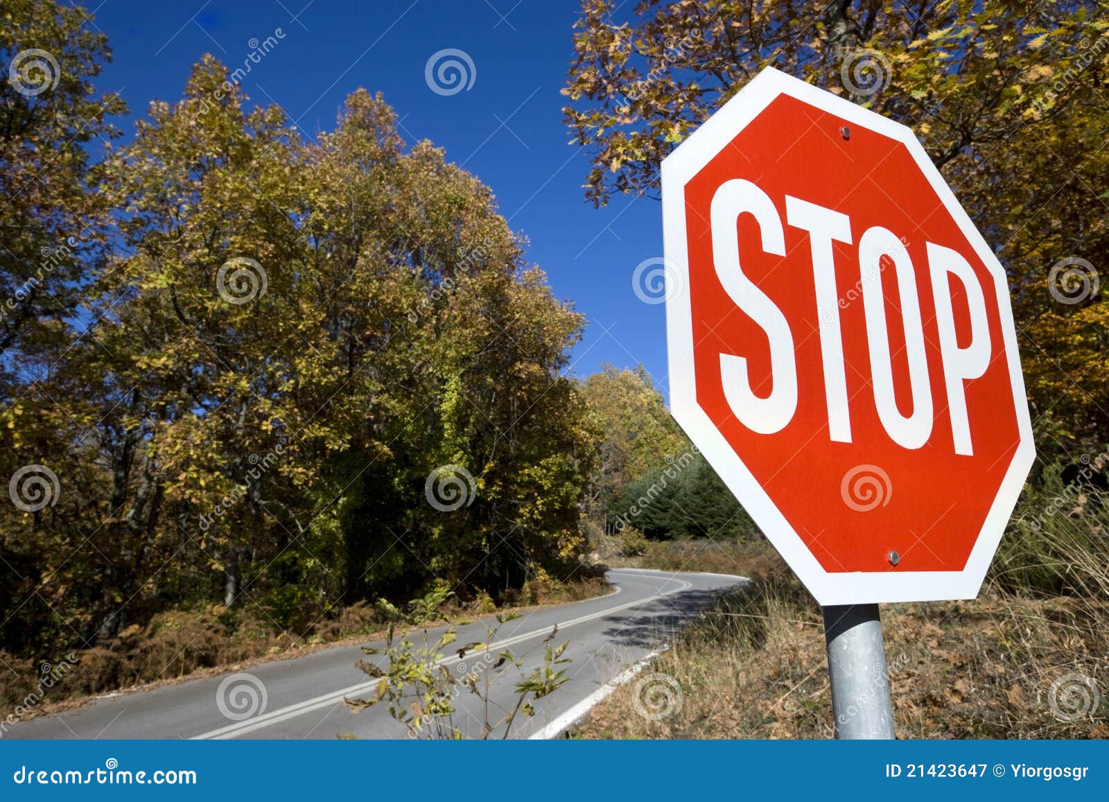 Stop sign in the woods stock image. Image of color, branch - 21423647