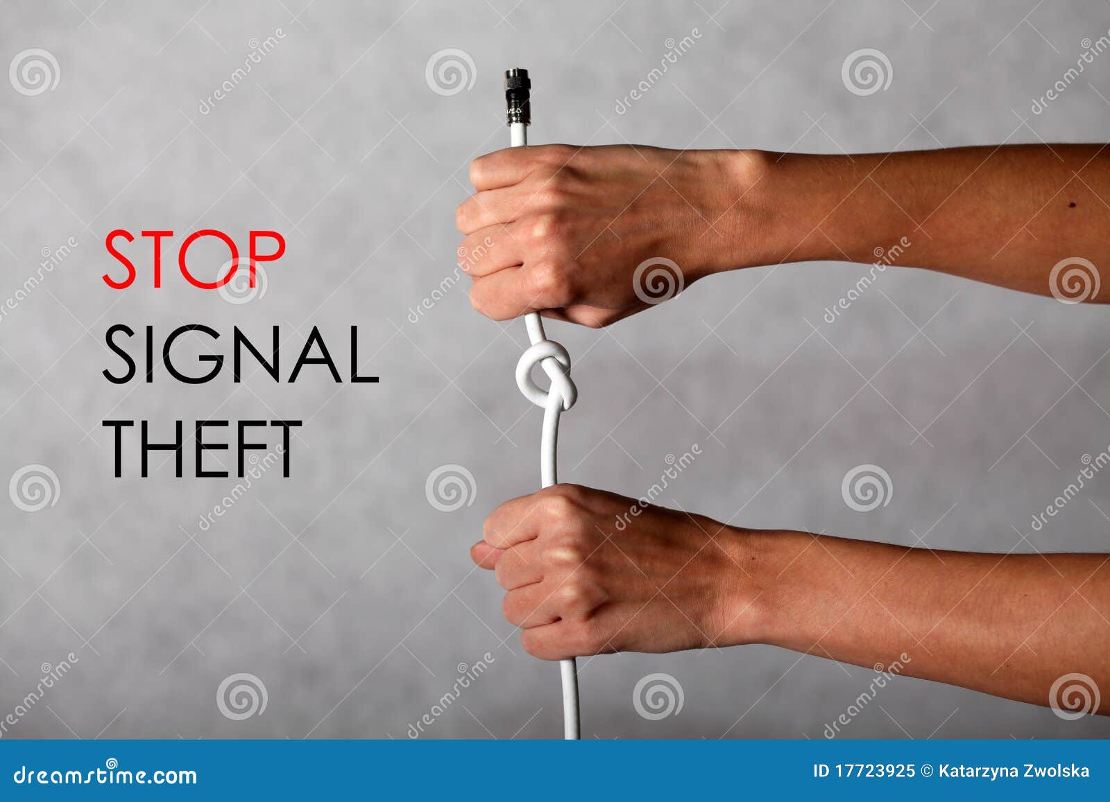 The Stop Signal Arm. The School Bus Display A Stop Signal. Stock Photo ...