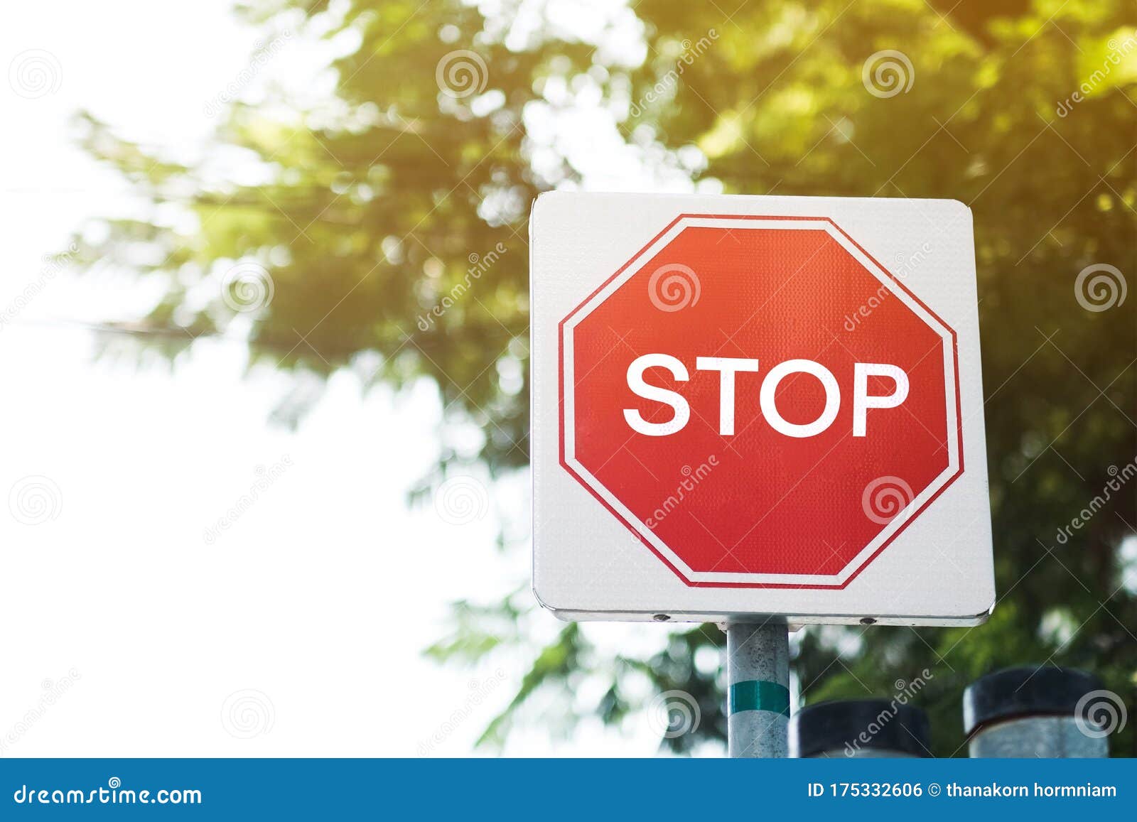 STOP Traffic Sign on the Street Stock Illustration - Illustration of ...
