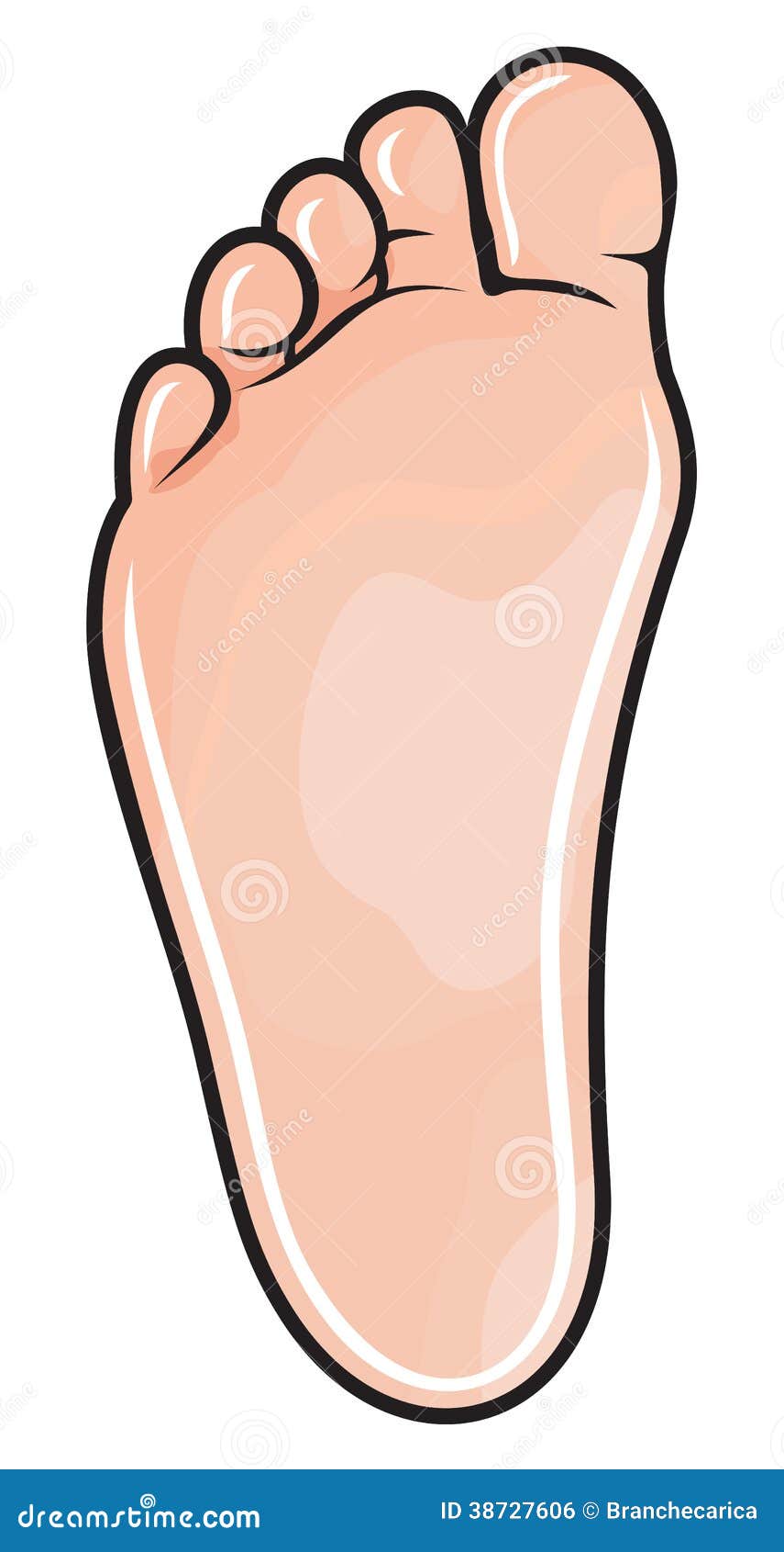 Stopa ilustracja wektor. Ilustracja złożonej z ślad, druk - 38727606