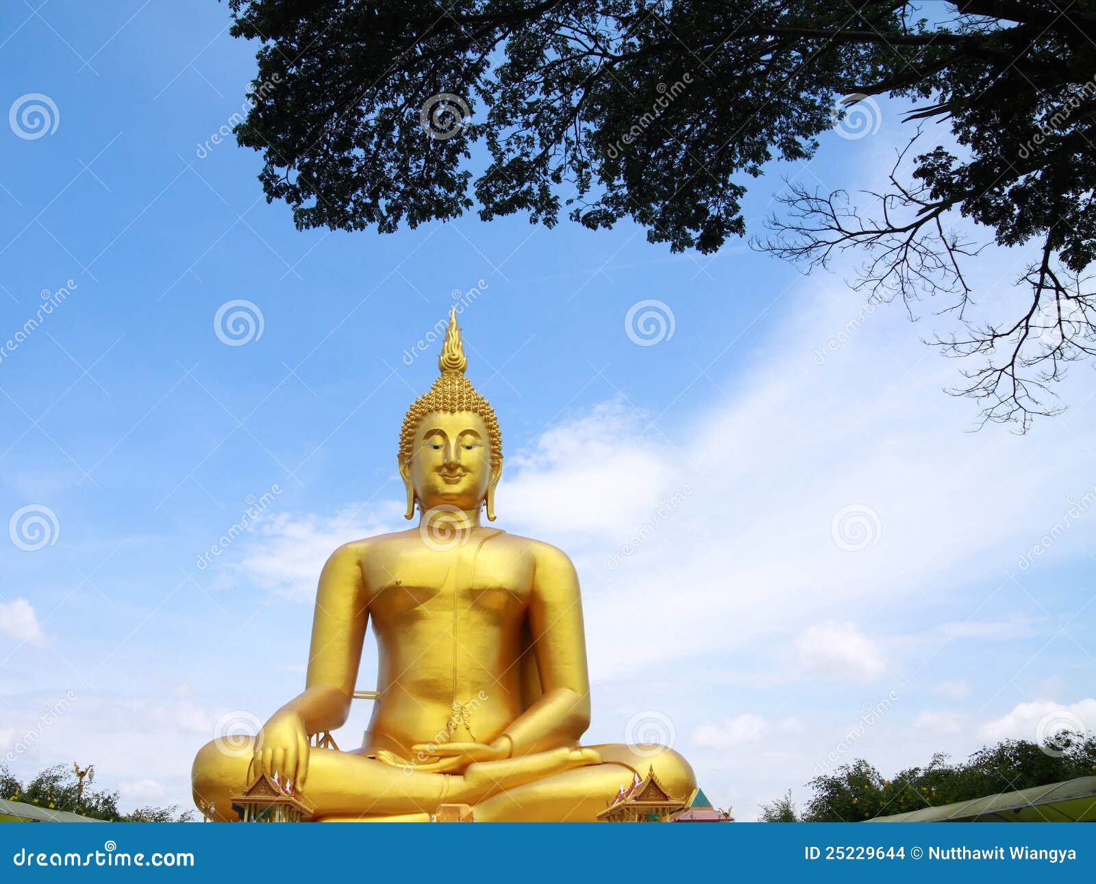 Stor buddha guld- staty arkivfoto. Bild av järnhand, dyrkan - 25229644