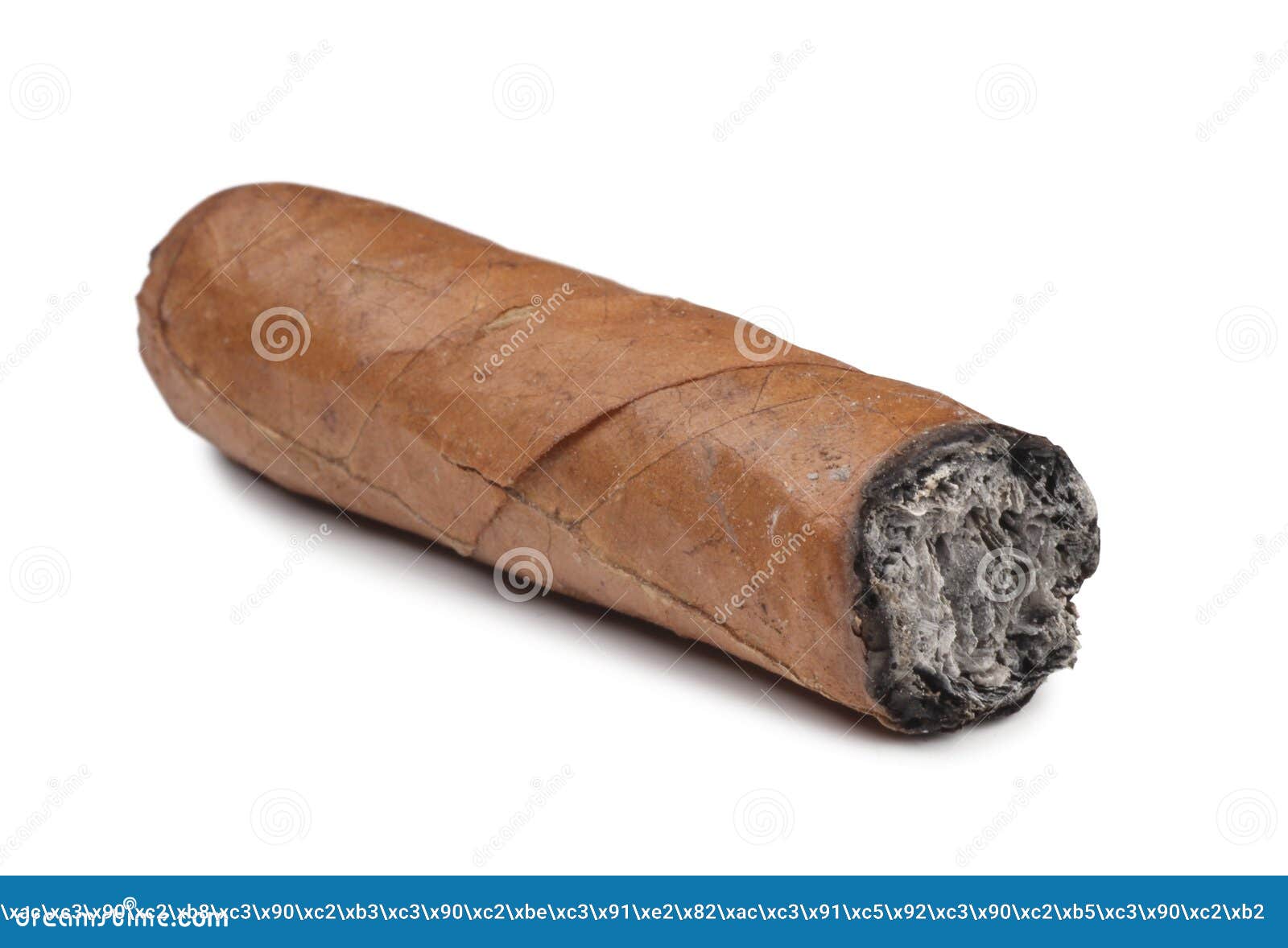 Stor cigarr arkivfoto. Bild av sjukligt, dyrt, rikt, havana - 47416702