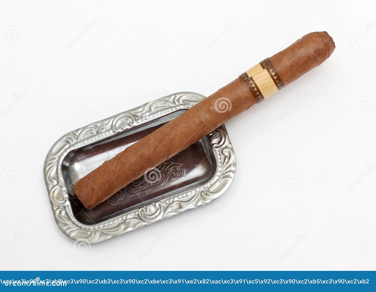 Stor cigarr i askfat arkivfoto. Bild av rökning, metall - 28587626