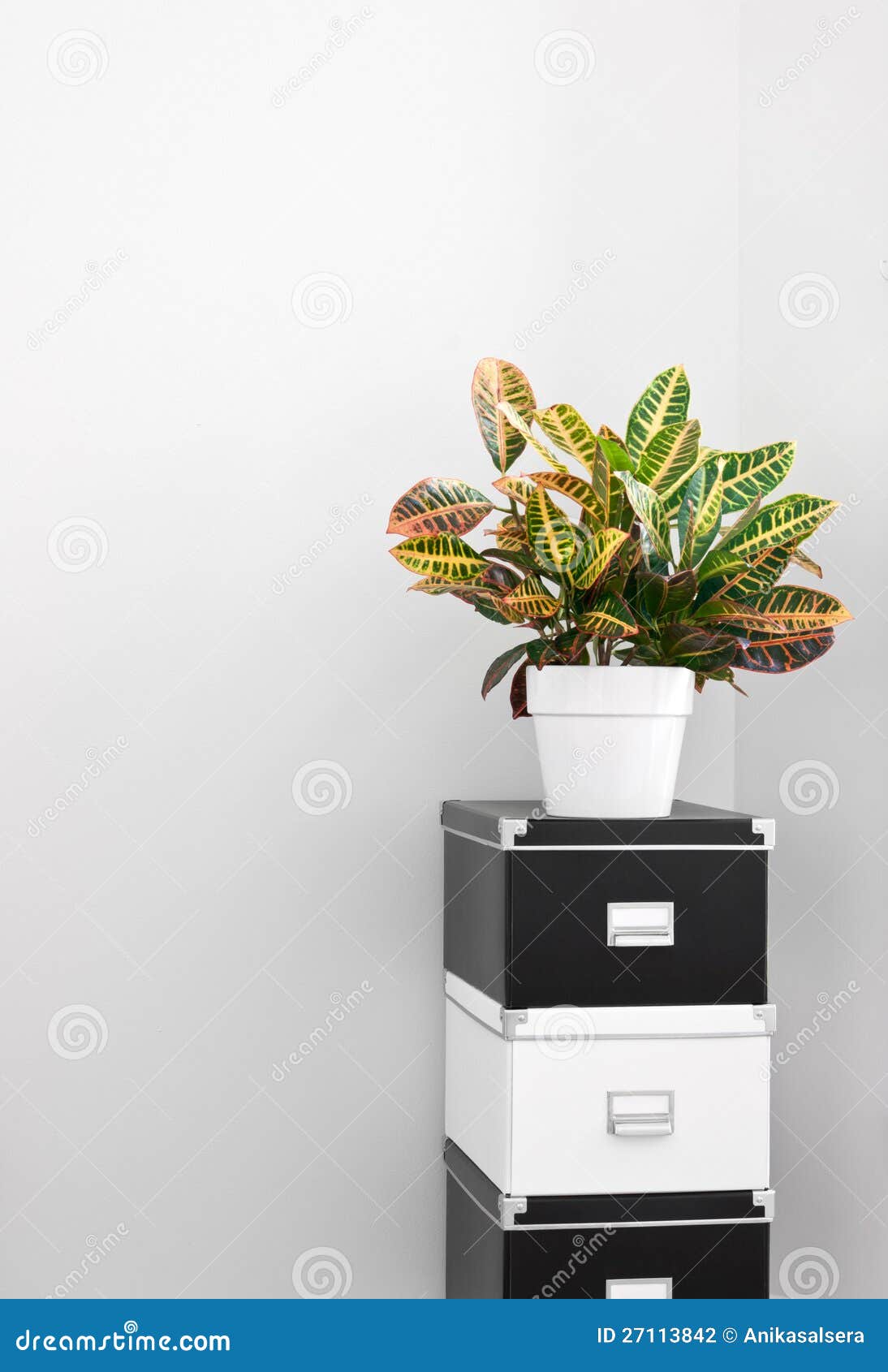 Storage Boxes and Green Plant in a Room Corner Stock Photo - Image of ...