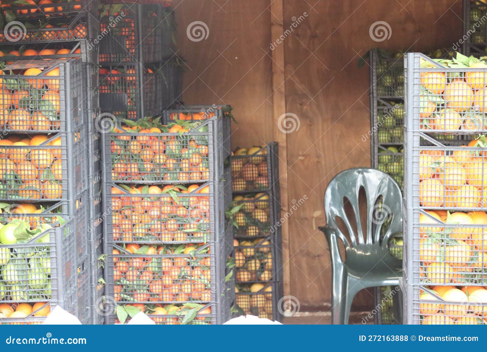 Storage of Citrus Boxes Oranges and Mandarins- Stock Photo - Image of ...