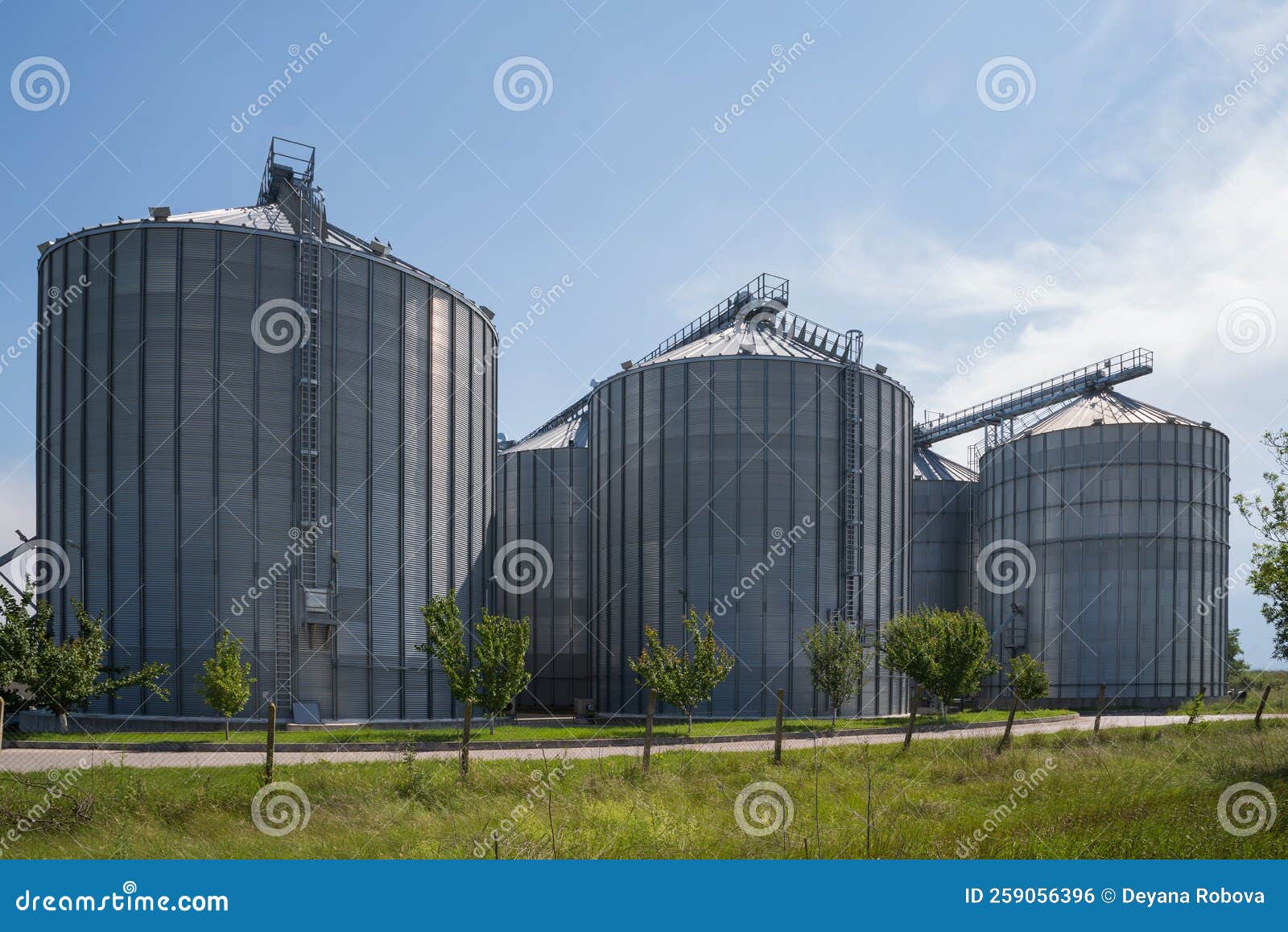 Storage of the Crop. Agricultural Silos. Stock Photo - Image of industy ...
