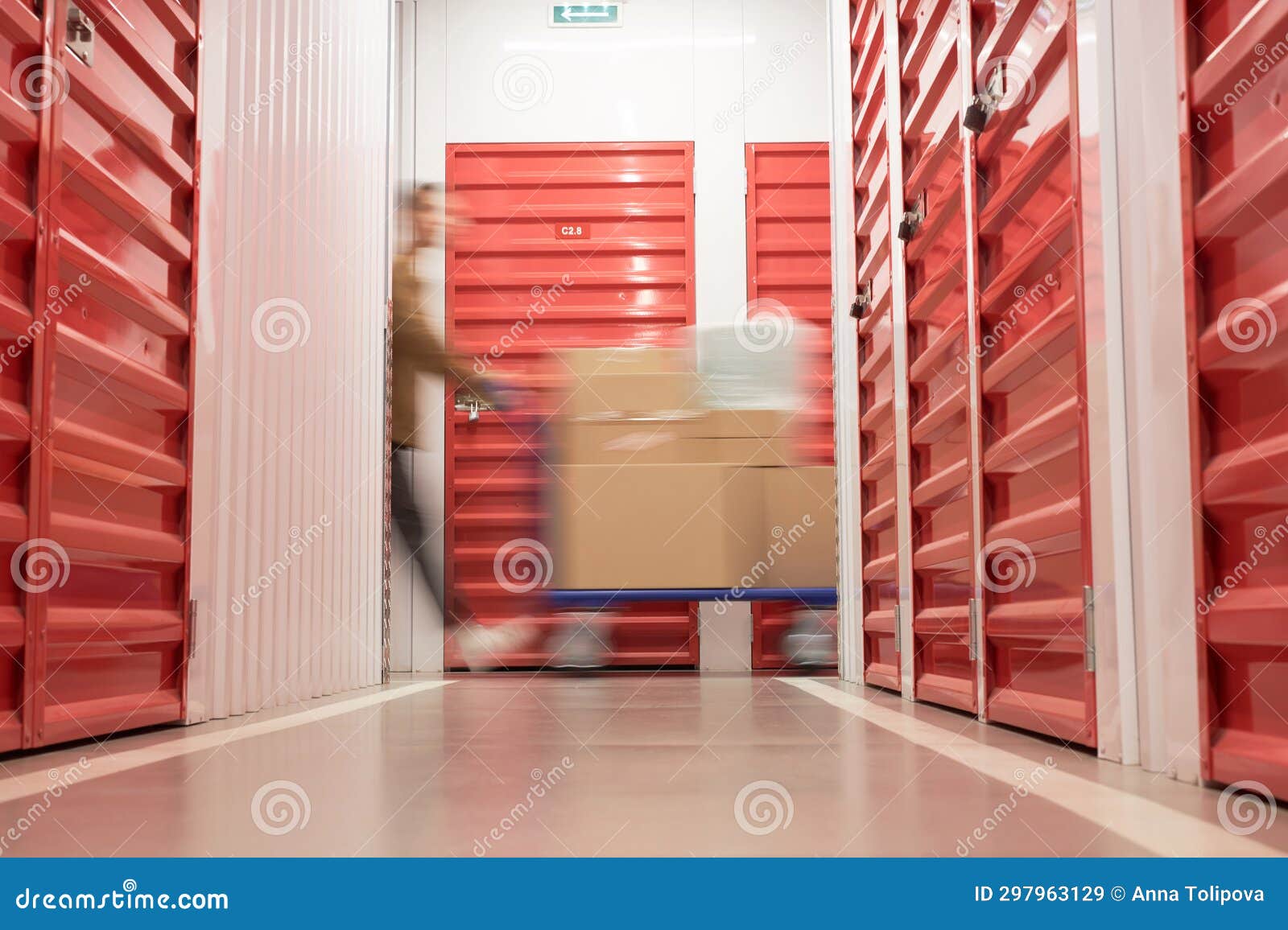 Storage Customer Pushing Cart in Warehouse Stock Image - Image of ...