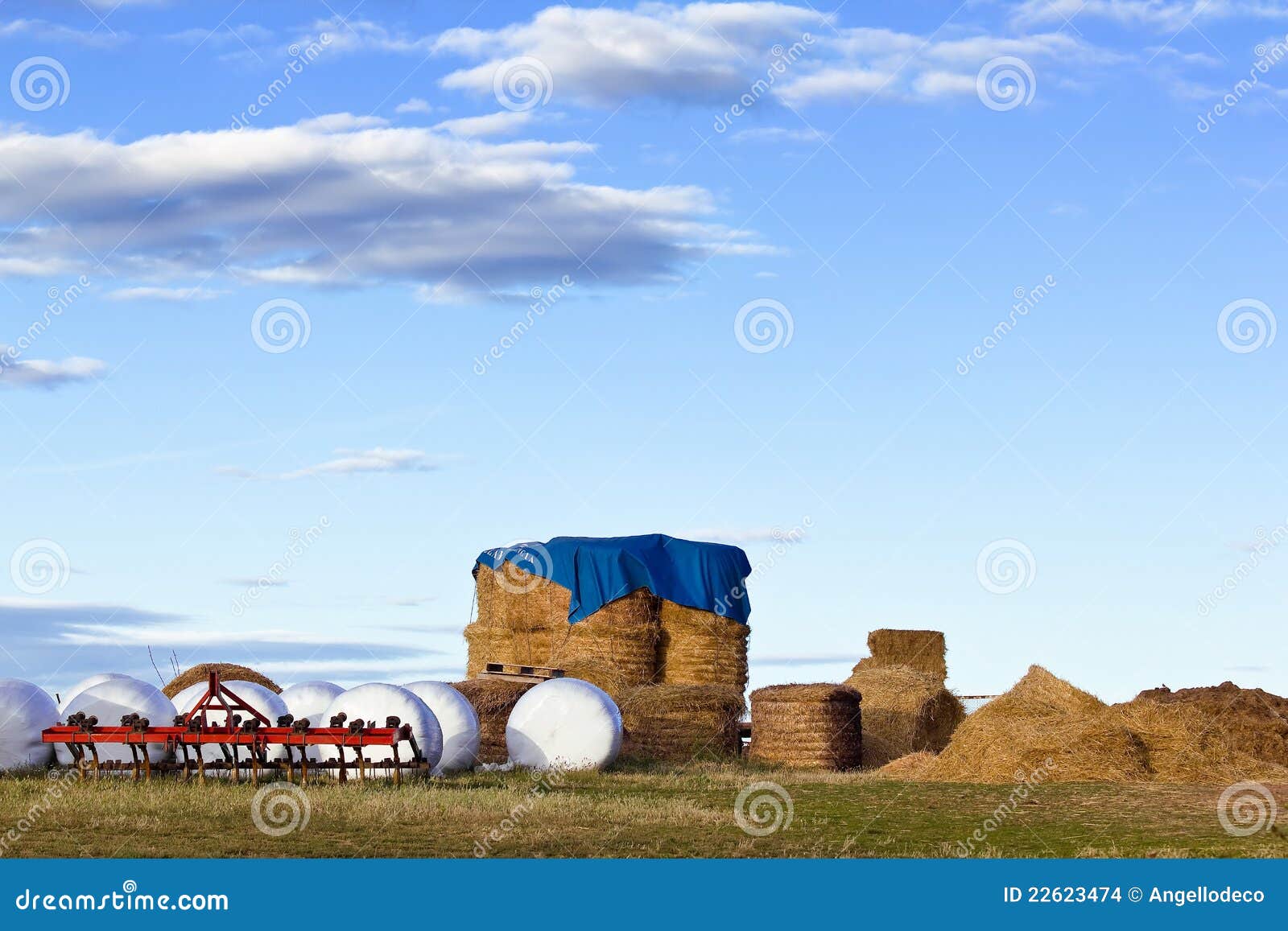 Storage of Fodder for Cattle Stock Photo - Image of fodder, feed: 22623474