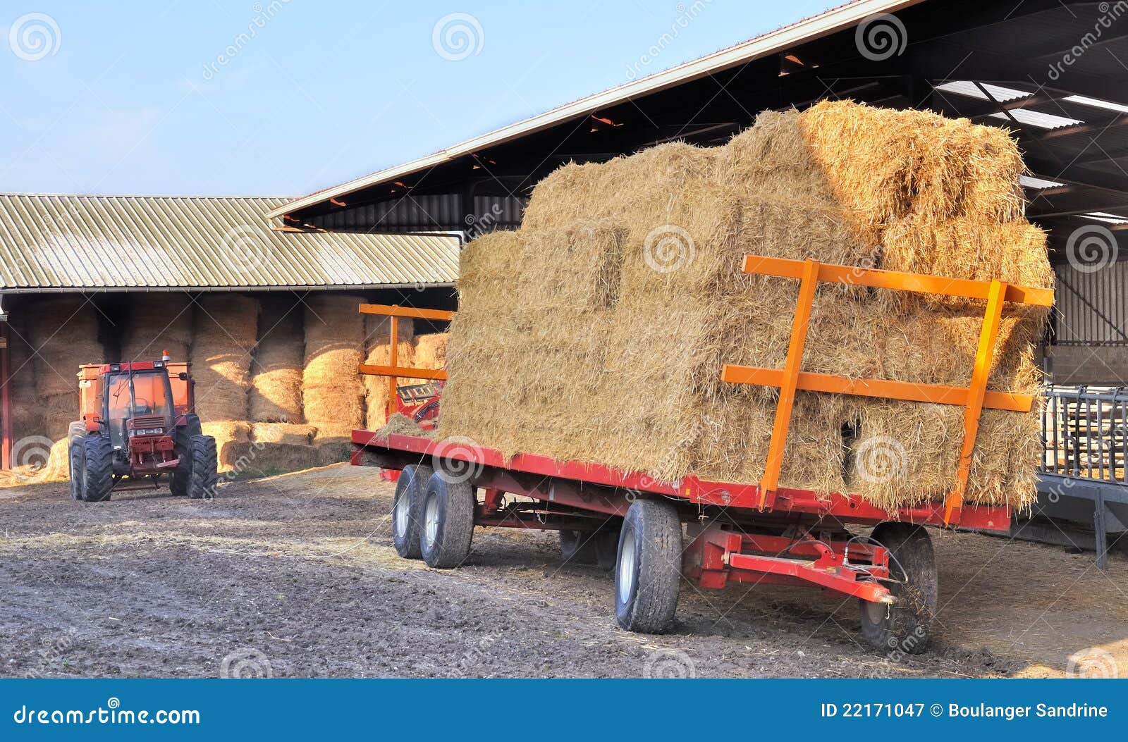 Storage of Fodder in a Stable Stock Image - Image of forage, tractor ...