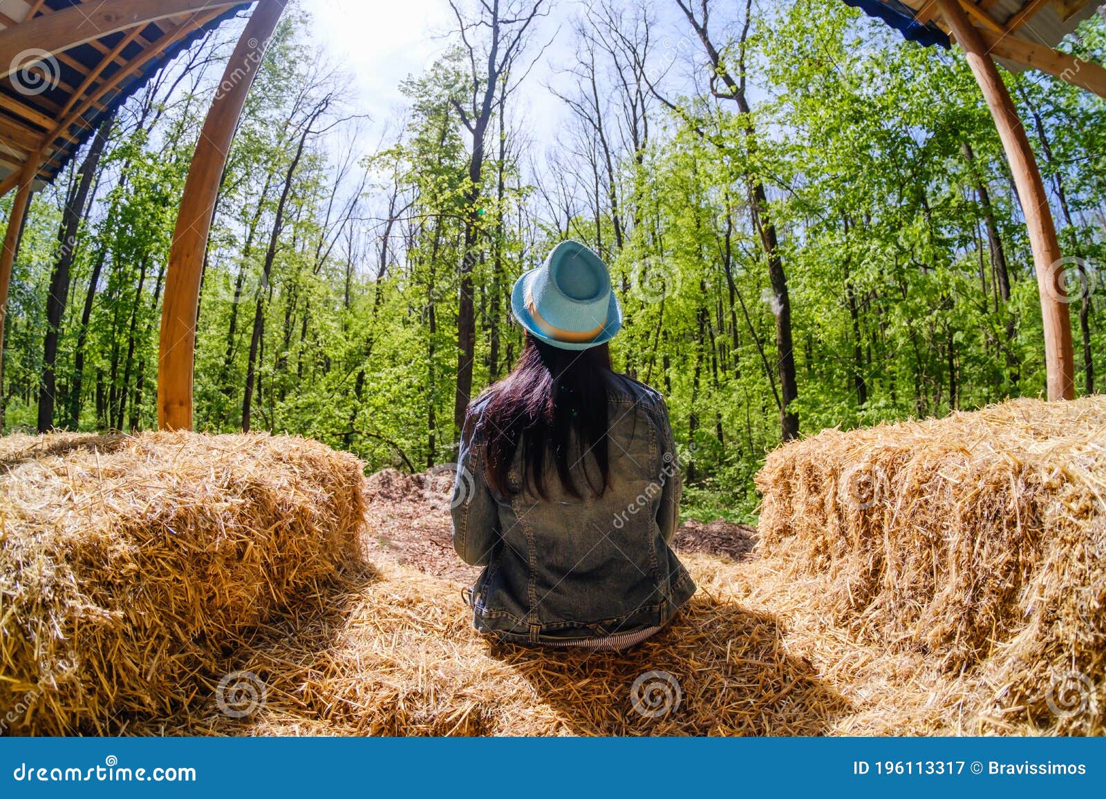Storage Hay Agriculture Rural Straw, Haystack Store Stock Image - Image ...