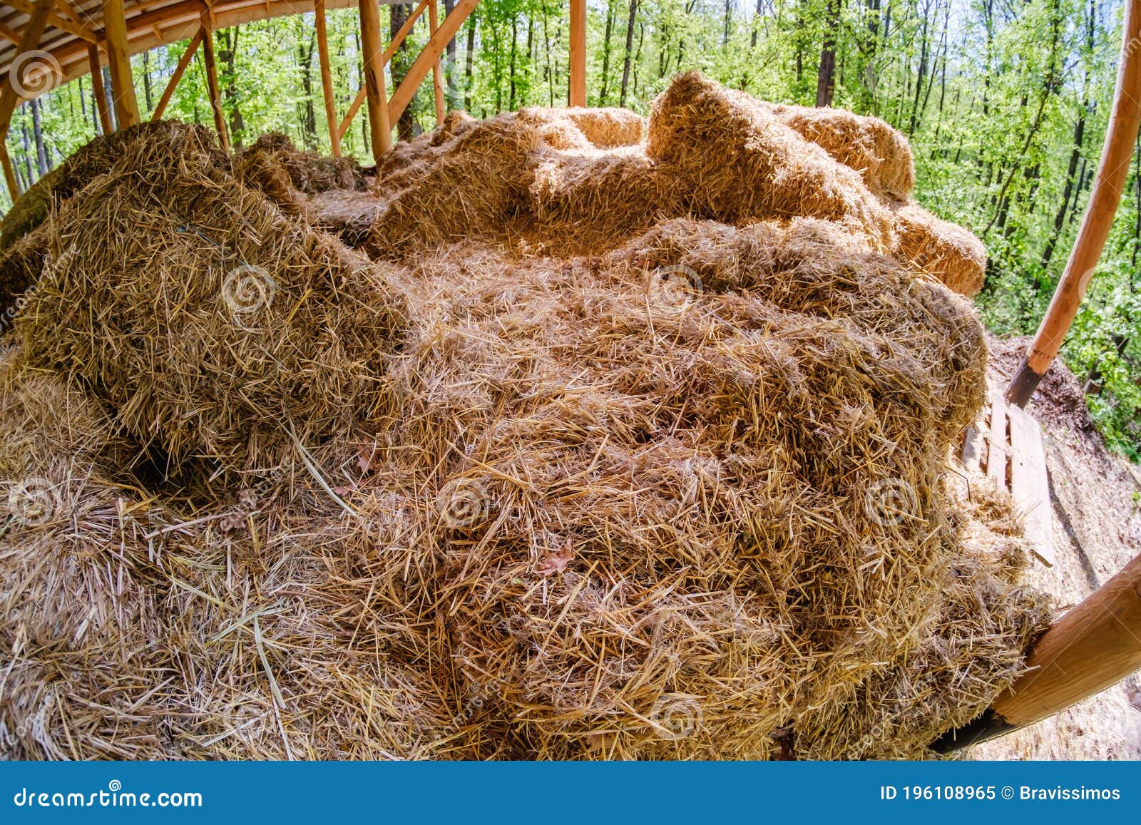 Storage Hay Agriculture Rural Straw, Stack Stock Image - Image of ...