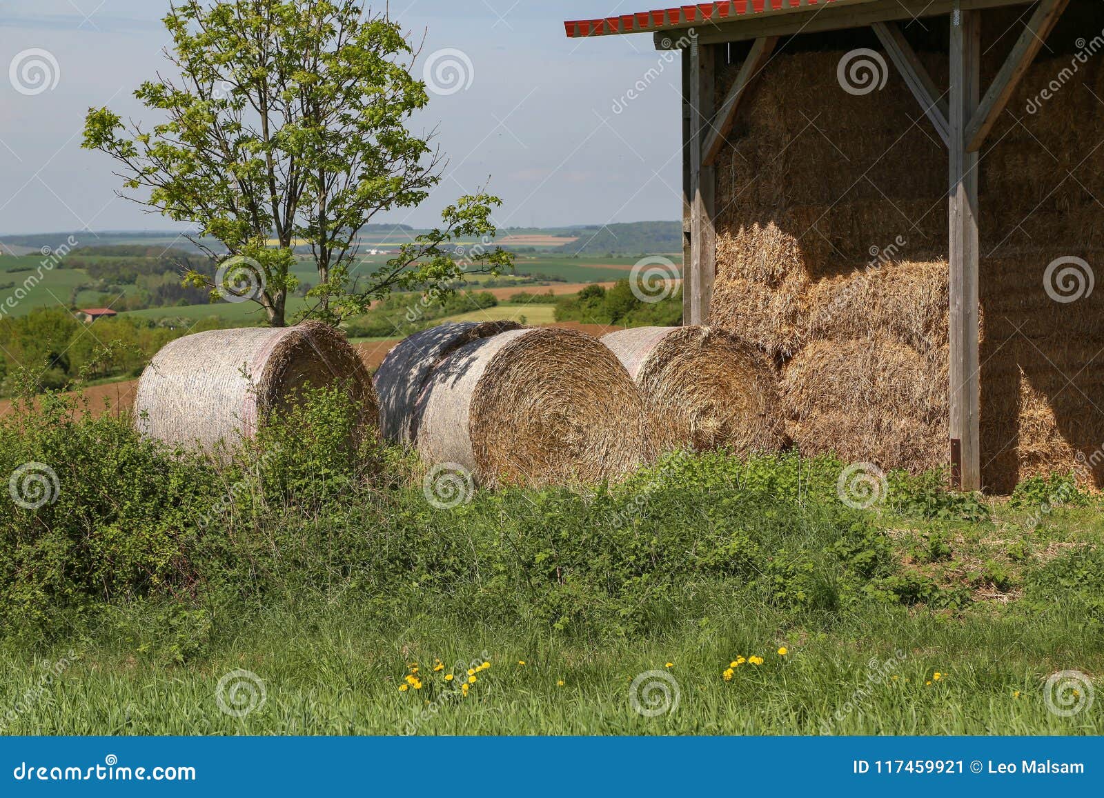 Storage for hay and straw stock image. Image of haystack - 117459921