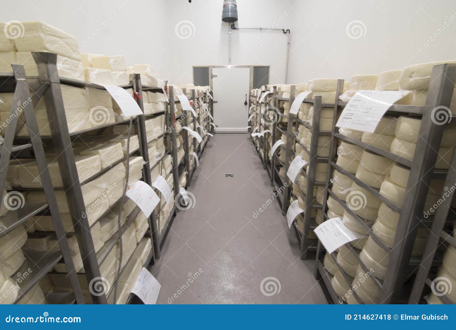 Storage and Maturation of Cheese Stock Photo - Image of making, funds ...
