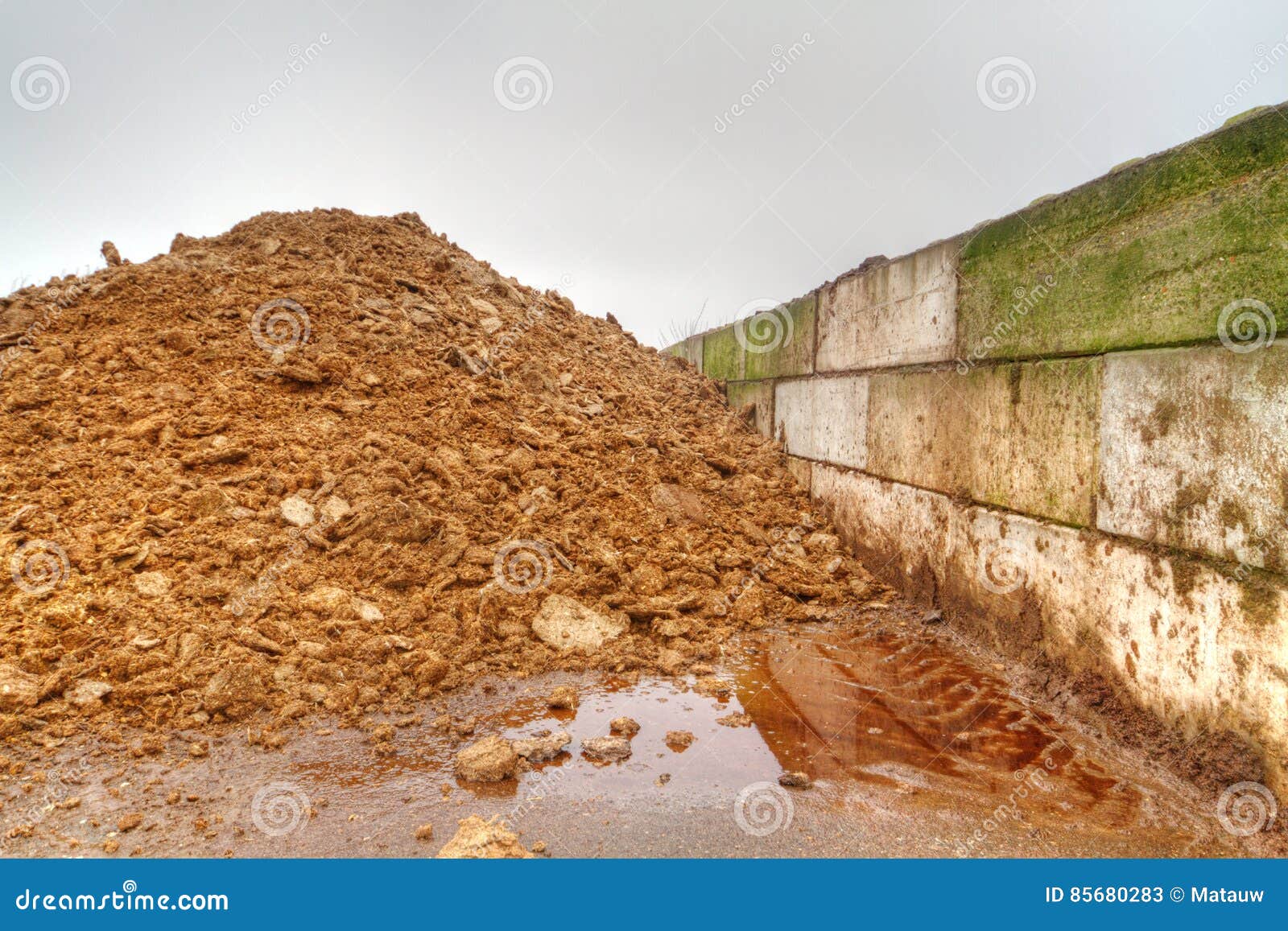 Storage of poultry dung stock image. Image of animal - 85680283