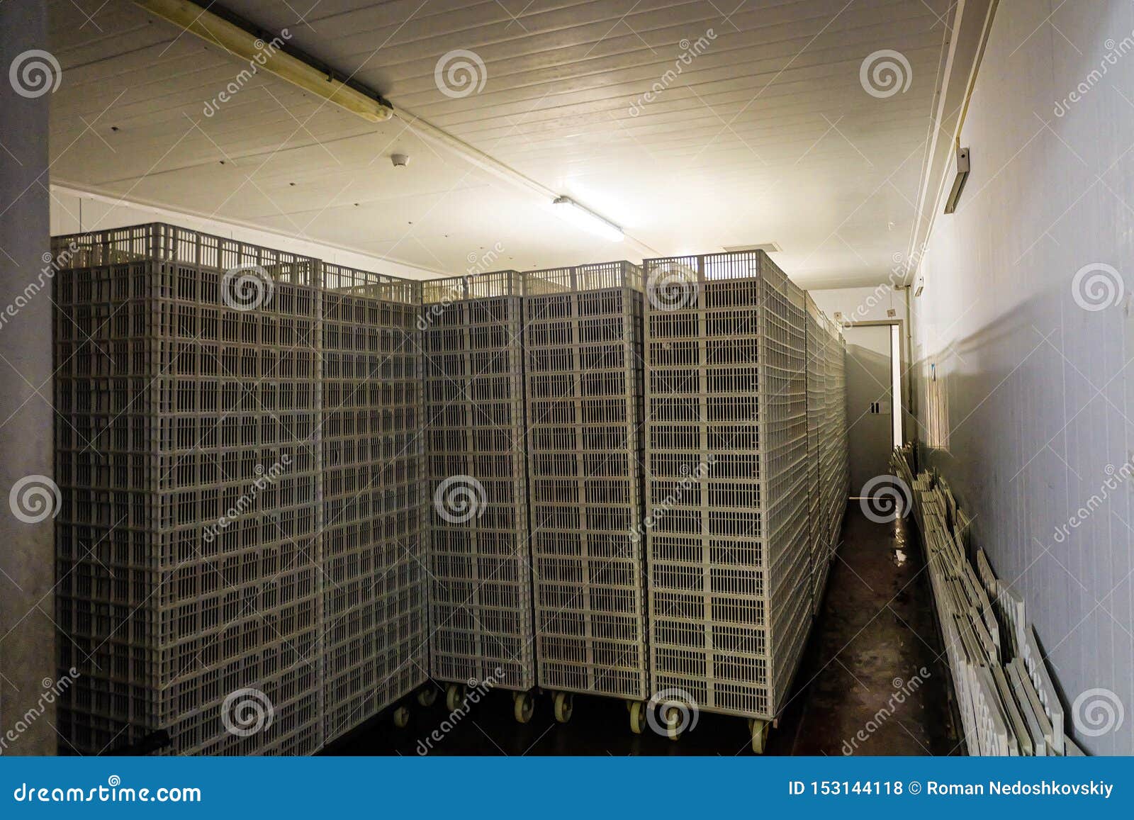 Storage Room for Empty Hatcher Carts and Baskets Stock Photo - Image of ...