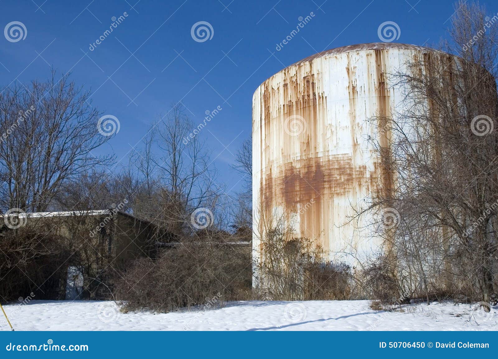 Storage tank stock photo. Image of overgrown, winter - 50706450