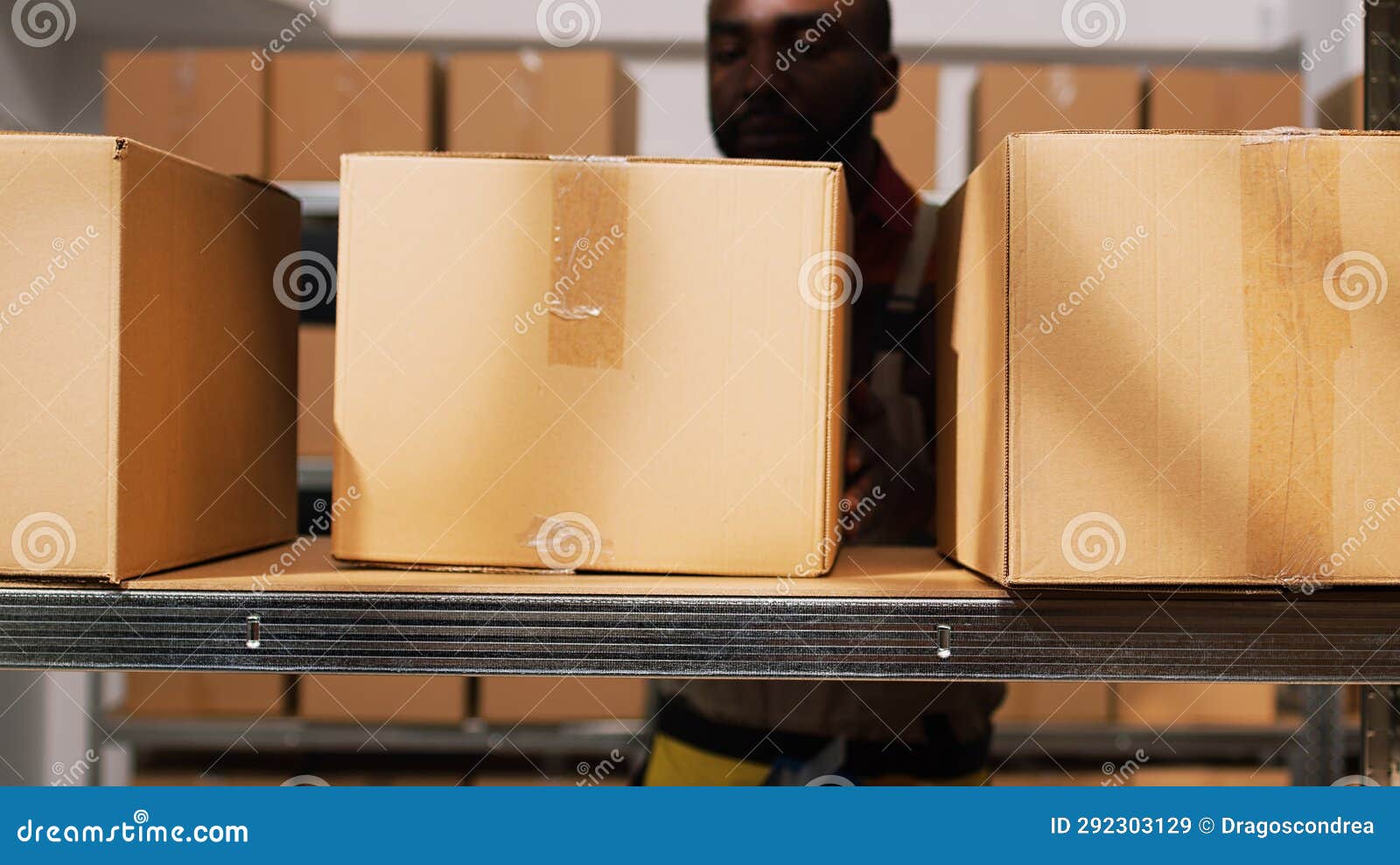 Storehouse Manager Sorting Boxes on Rack Stock Image - Image of ...