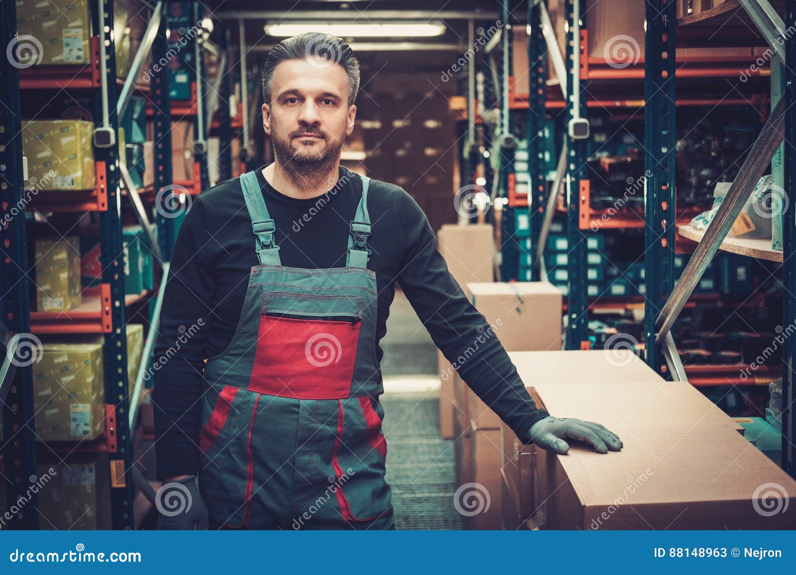 Storekeeper Working in a Warehouse Stock Image - Image of delivering ...