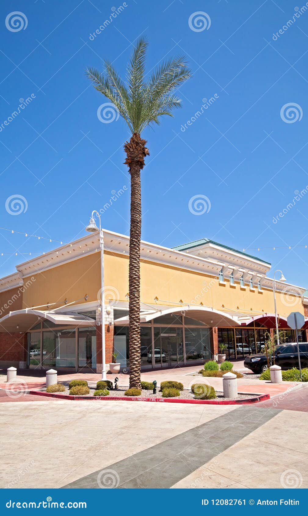 Stores stock image. Image of business, building, palm - 12082761