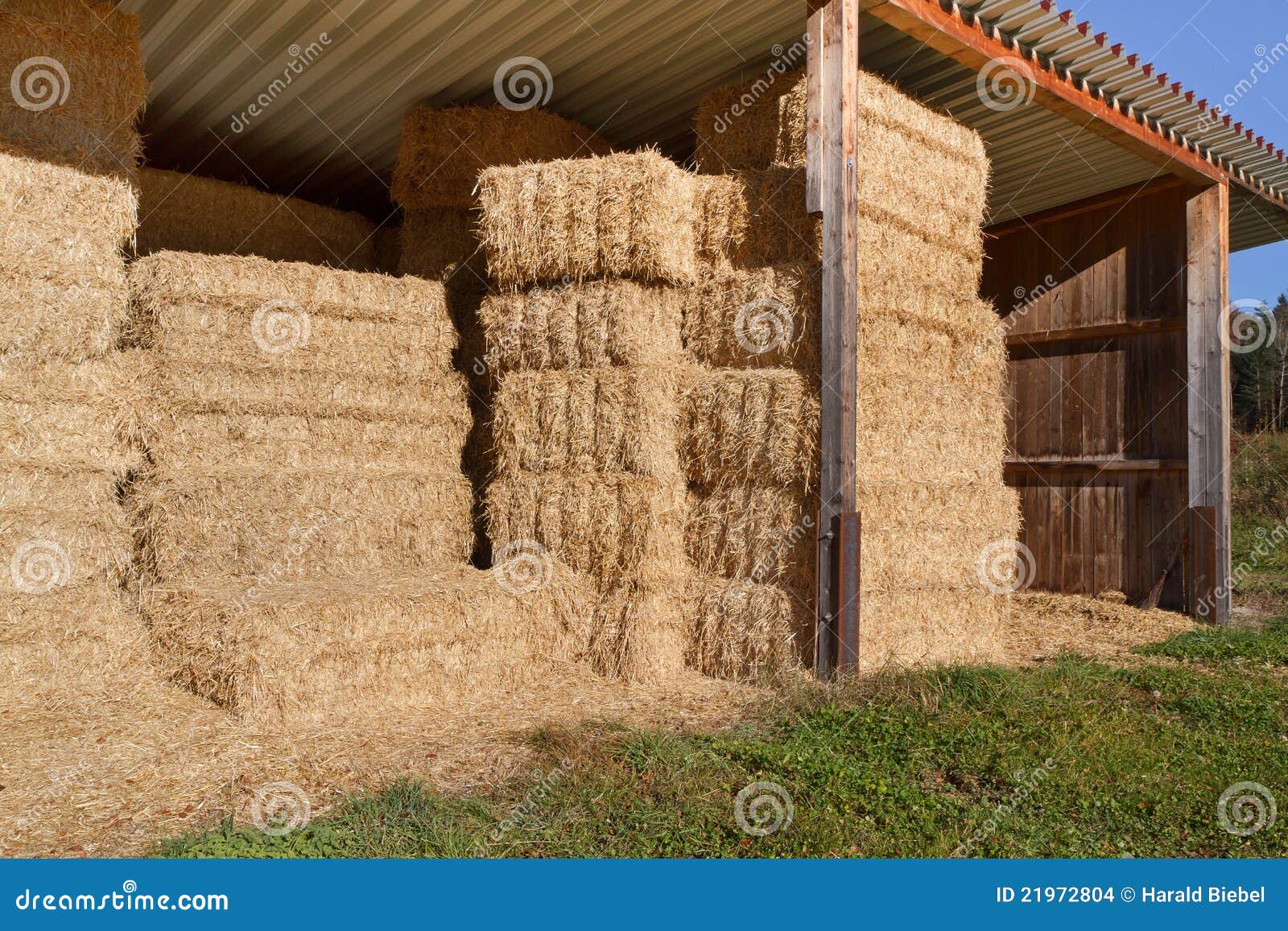 Storing hay balls stock photo. Image of hayrick, field - 21972804