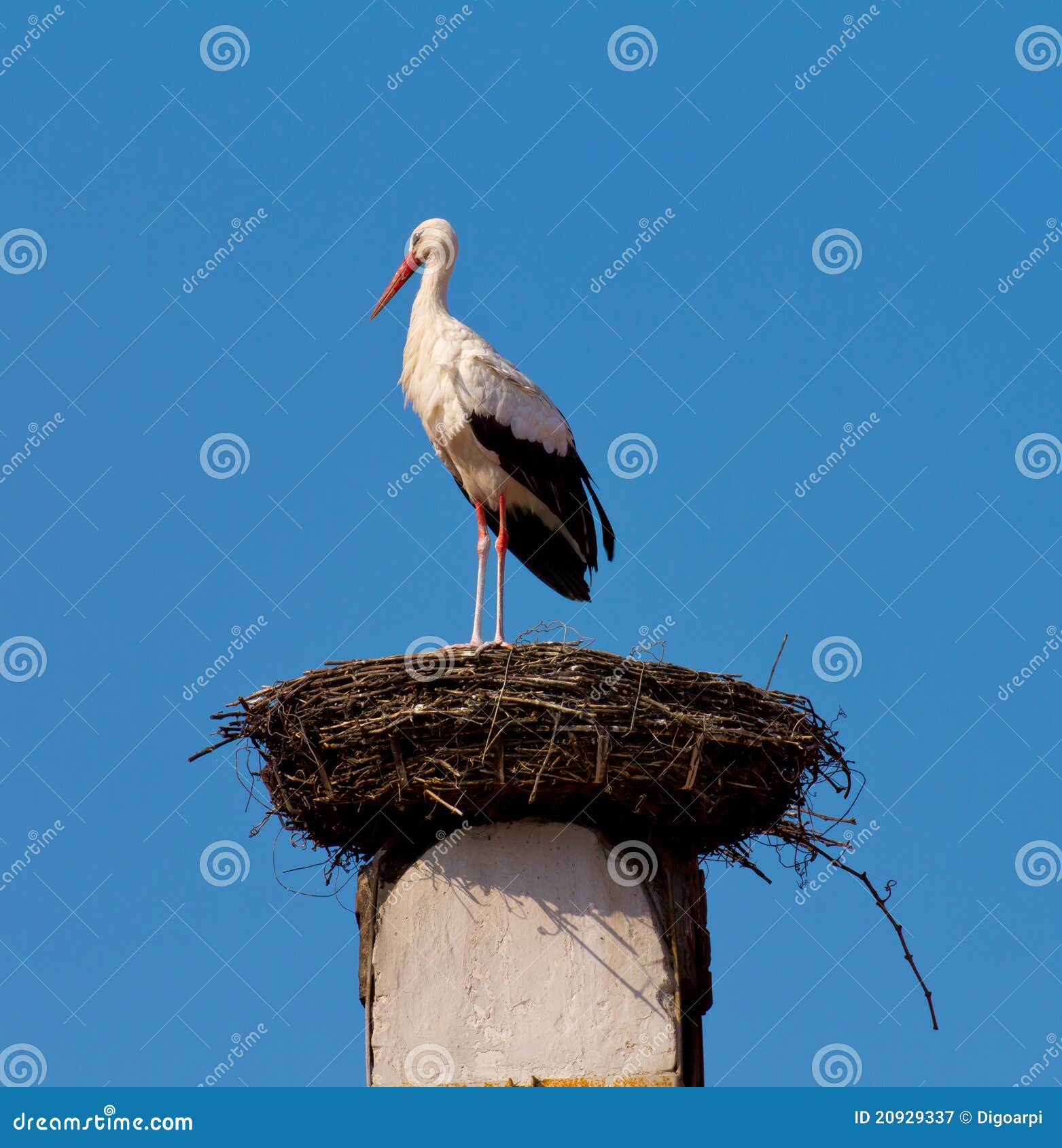 Stork stock image. Image of birth, background, avian - 20929337