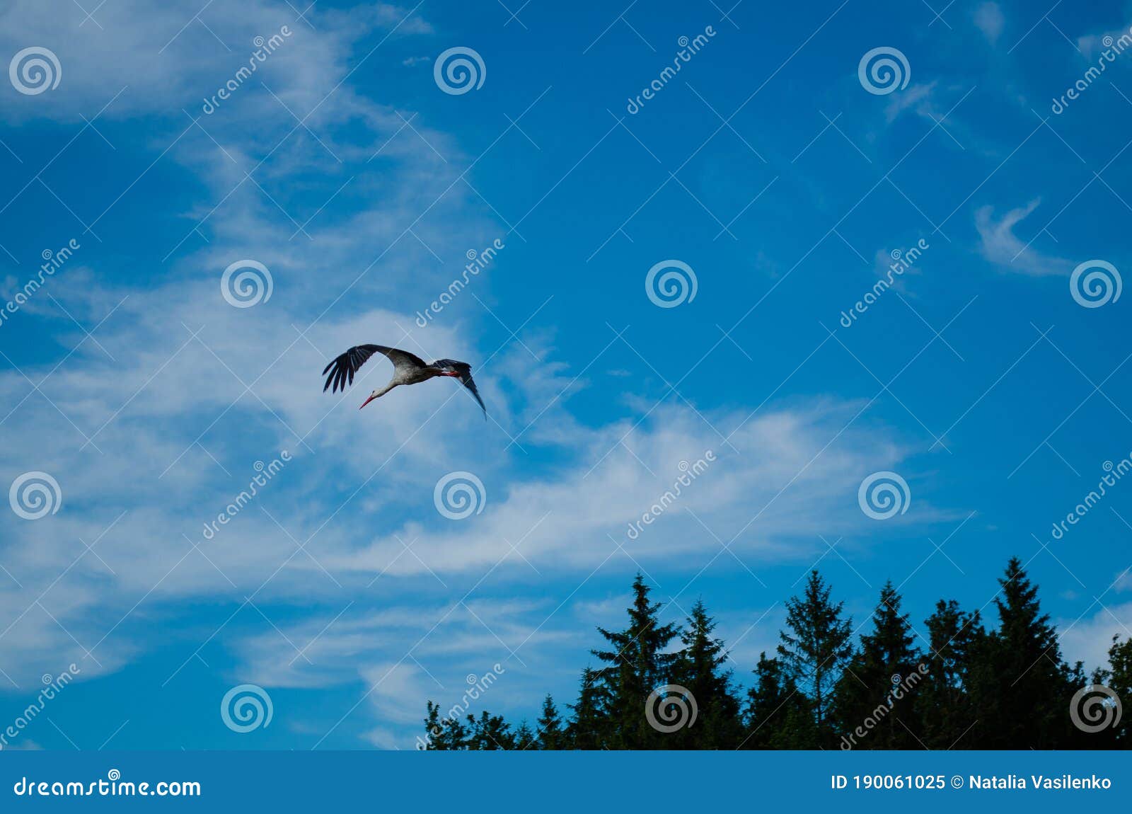 A Bird Flies Over A Tree With A Blue Sky In The Background Royalty-Free ...