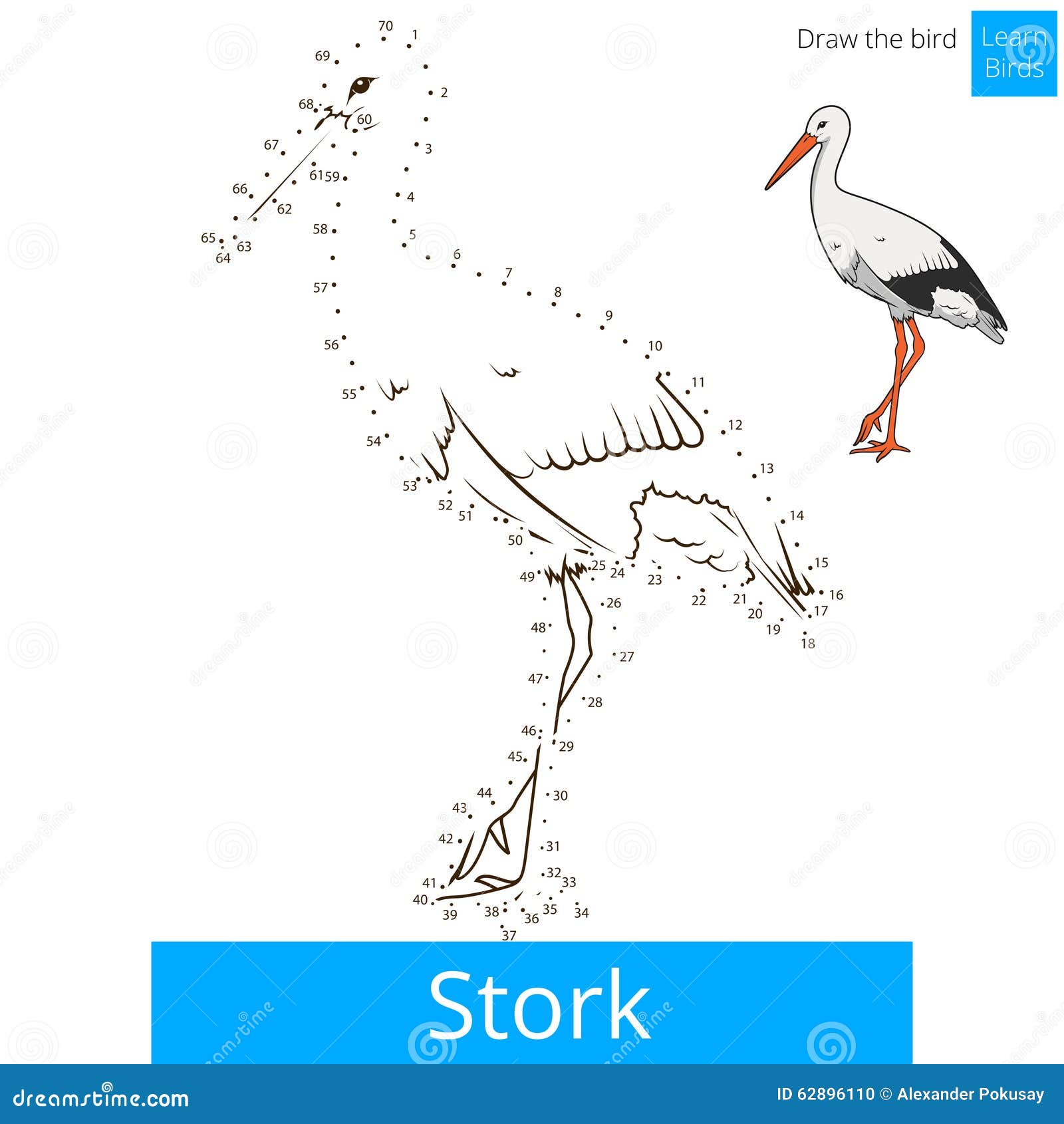 Stork Bird Learn To Draw Vector Stock Vector - Illustration of draw ...