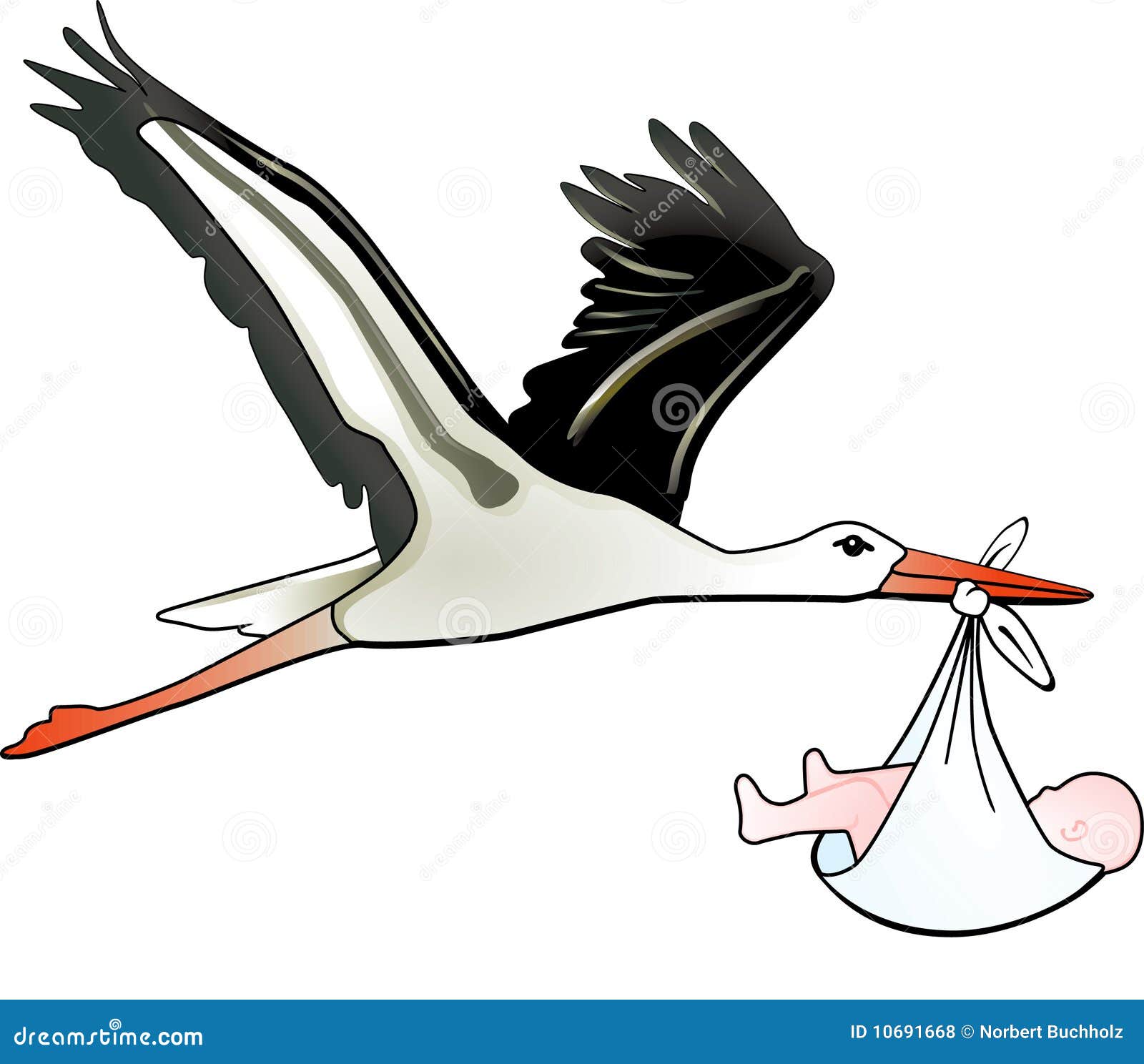 Stork childbirth stock vector. Illustration of happy - 10691668