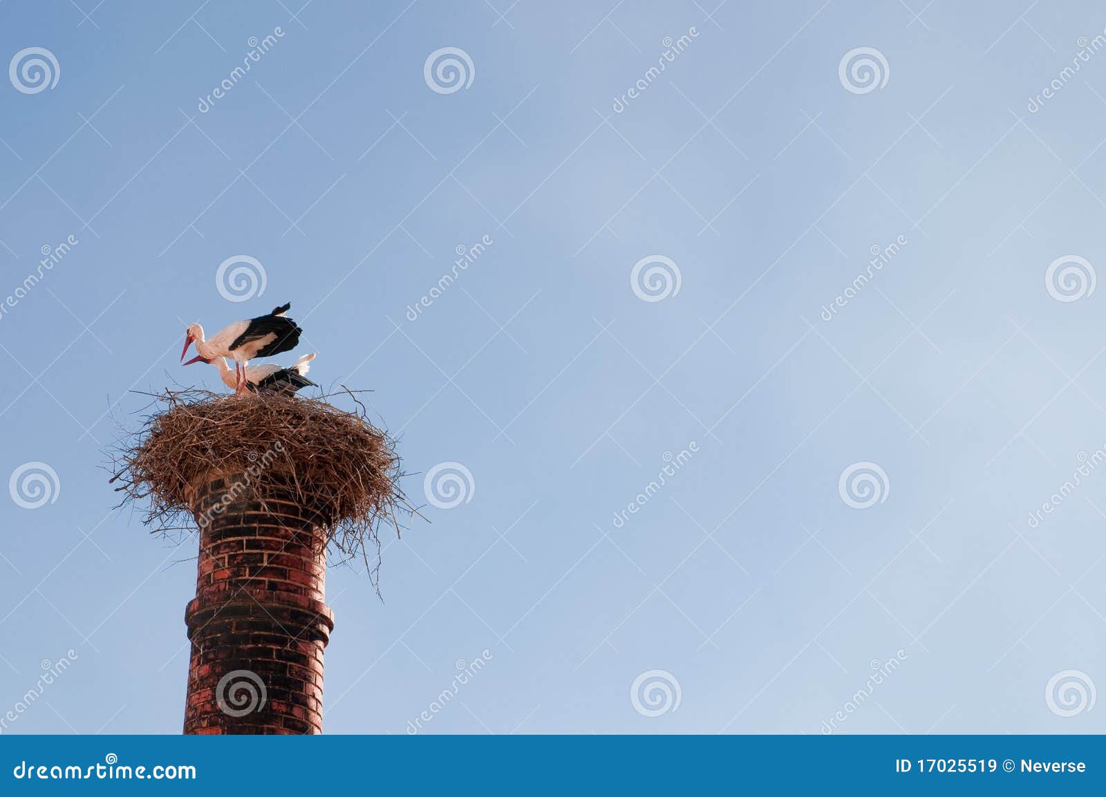 Stork on a chimney stock image. Image of birds, stork - 17025519