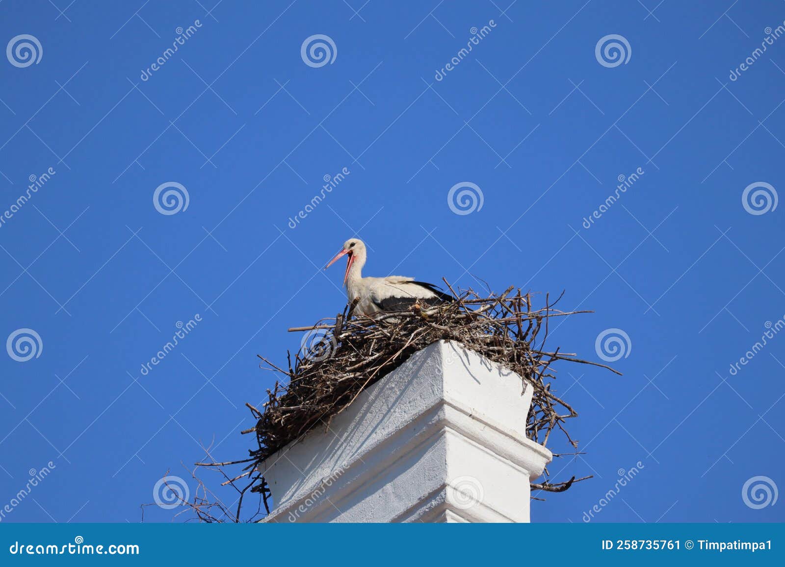 Stork On Chimney Of Marchegg Castle Royalty-Free Stock Photography ...
