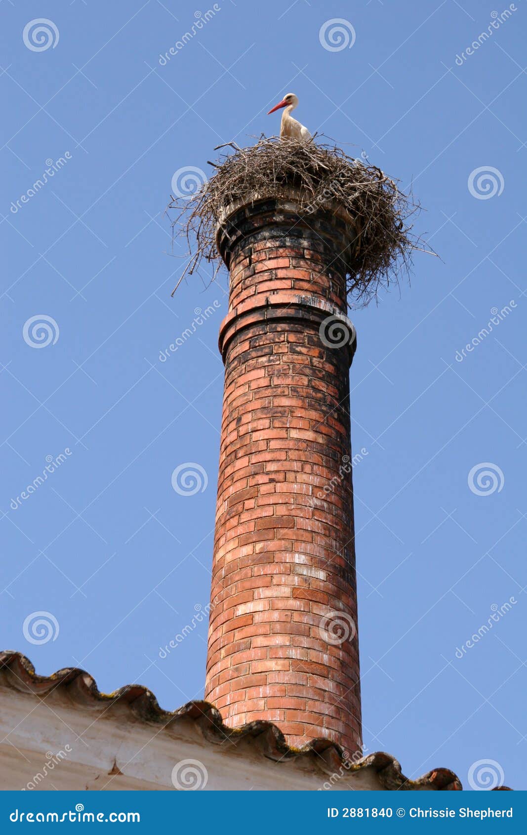 Stork on Chimney Stack Nest Stock Photo - Image of stork, explore: 2881840