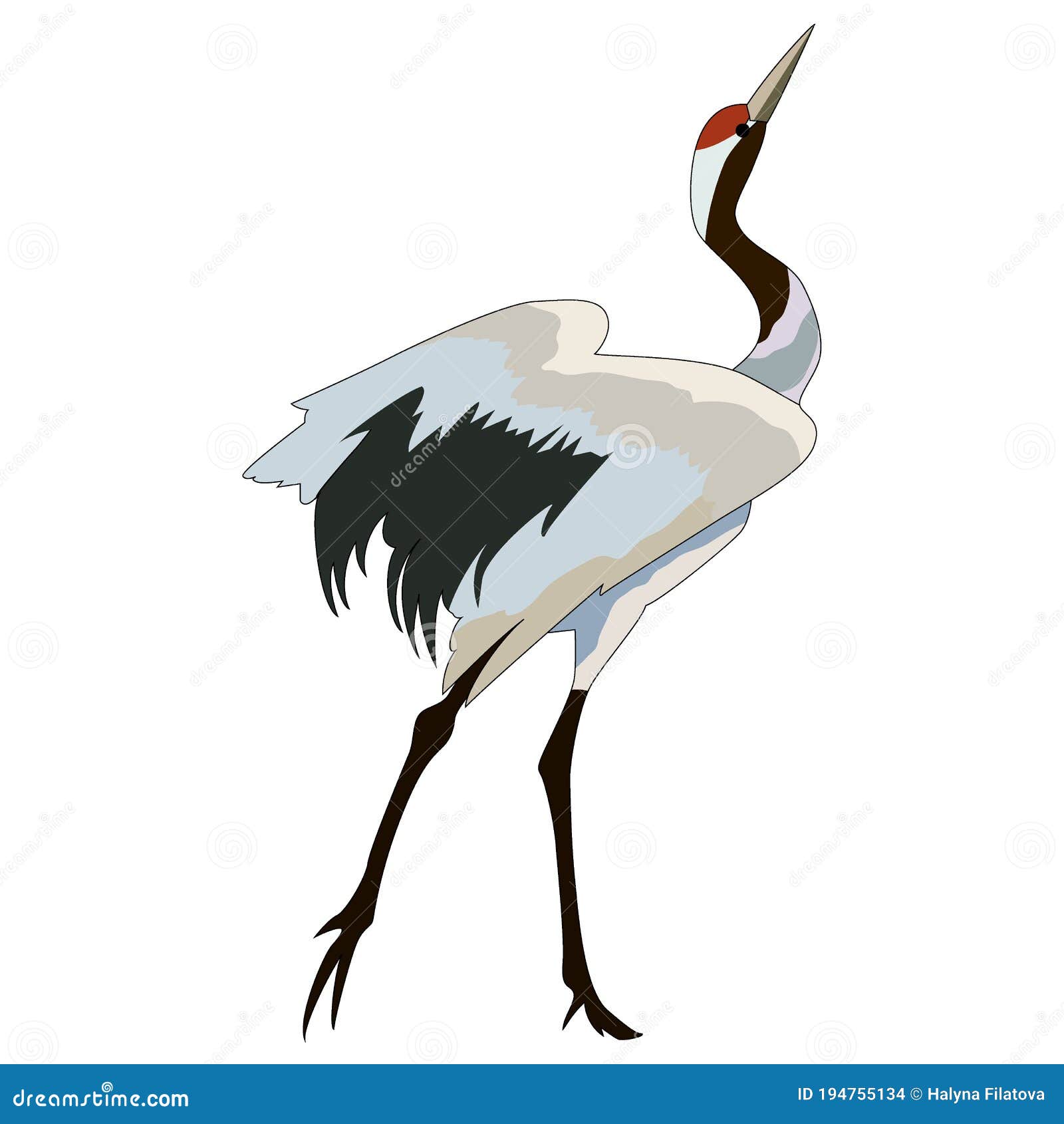 1395 Stork, Drawing, Isolate On A White Background, Image Of Storks ...